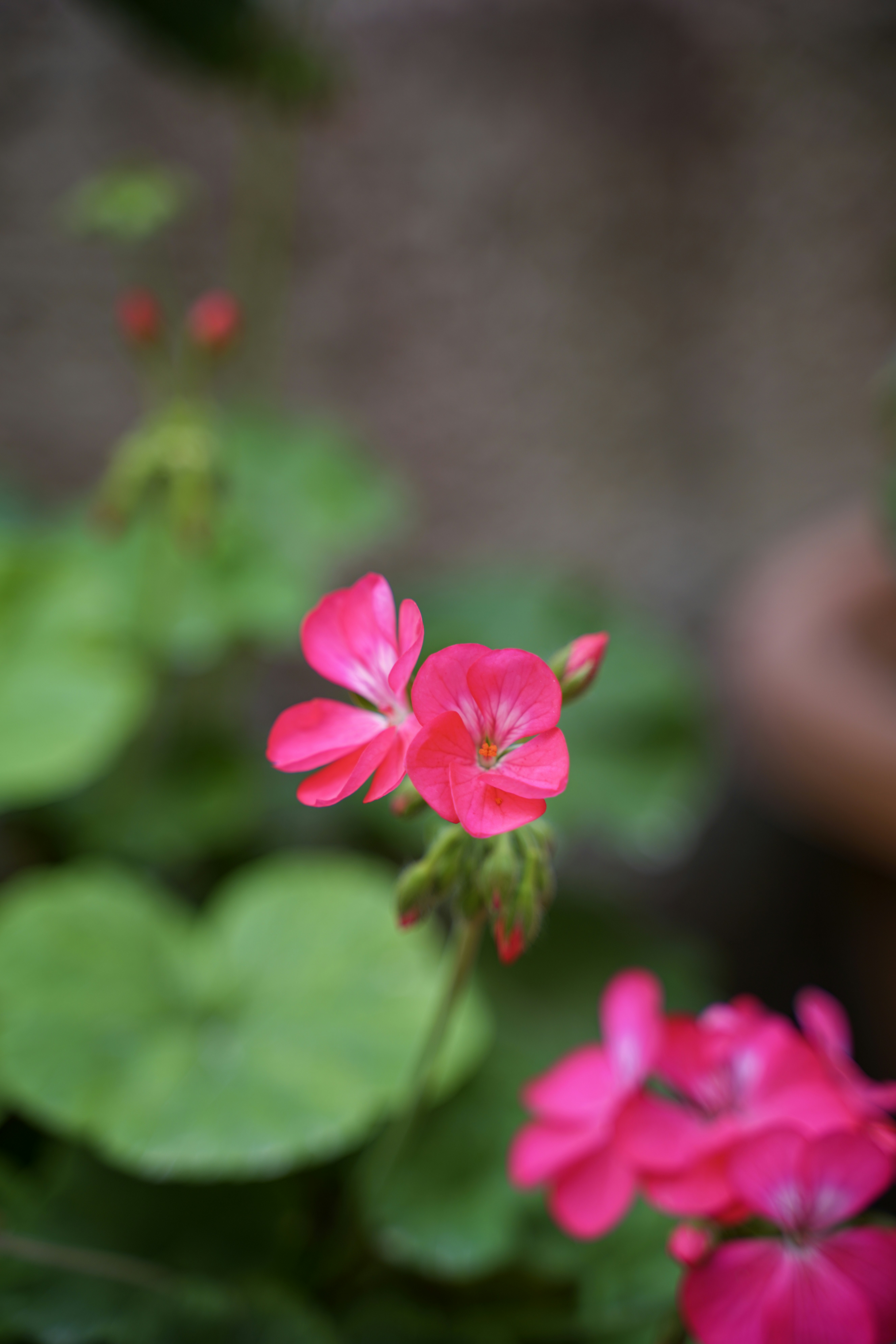 Photo by George 🦅 with Sony Alpha 7R II