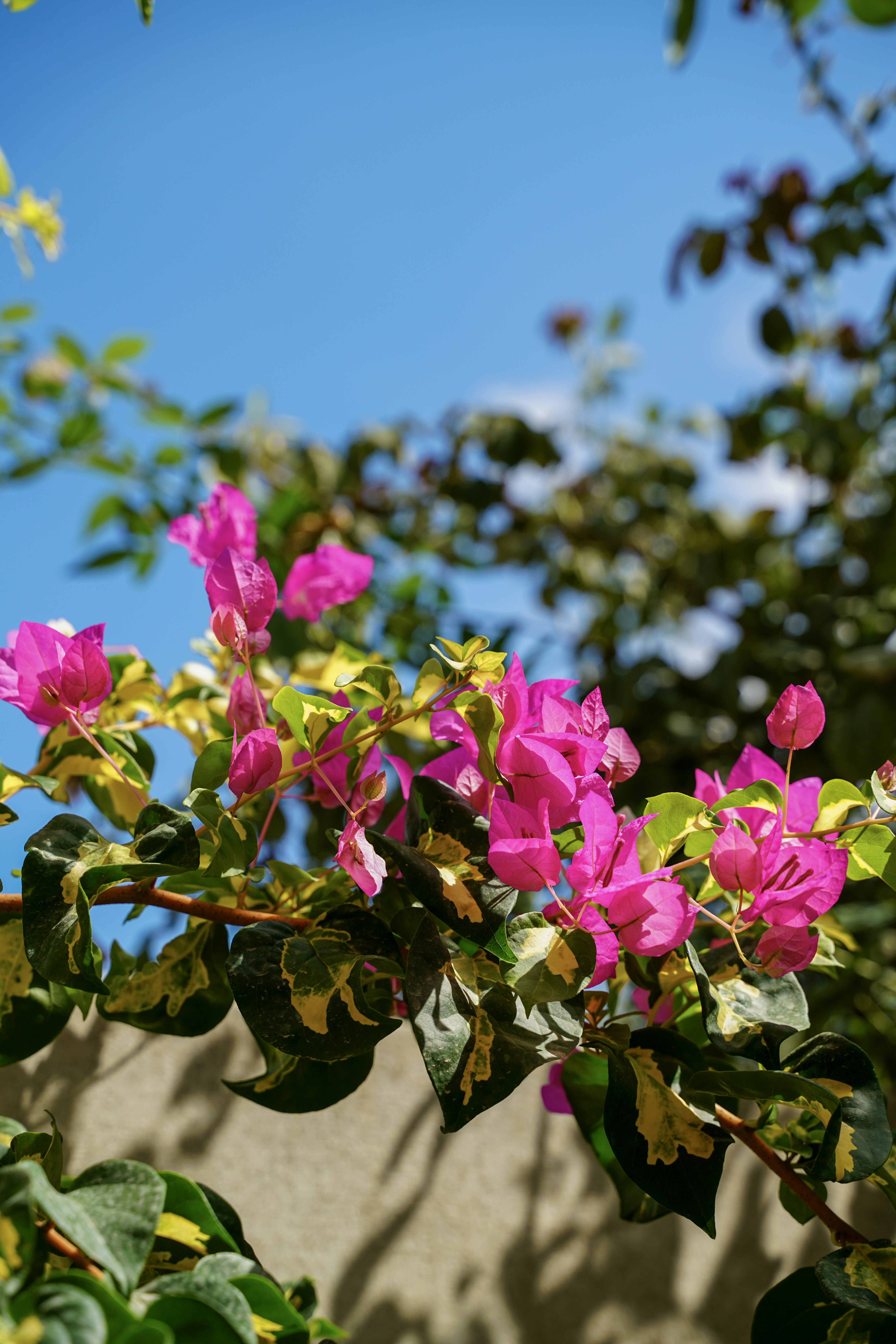 Photo by George 🦅 with Sony Alpha 7R II