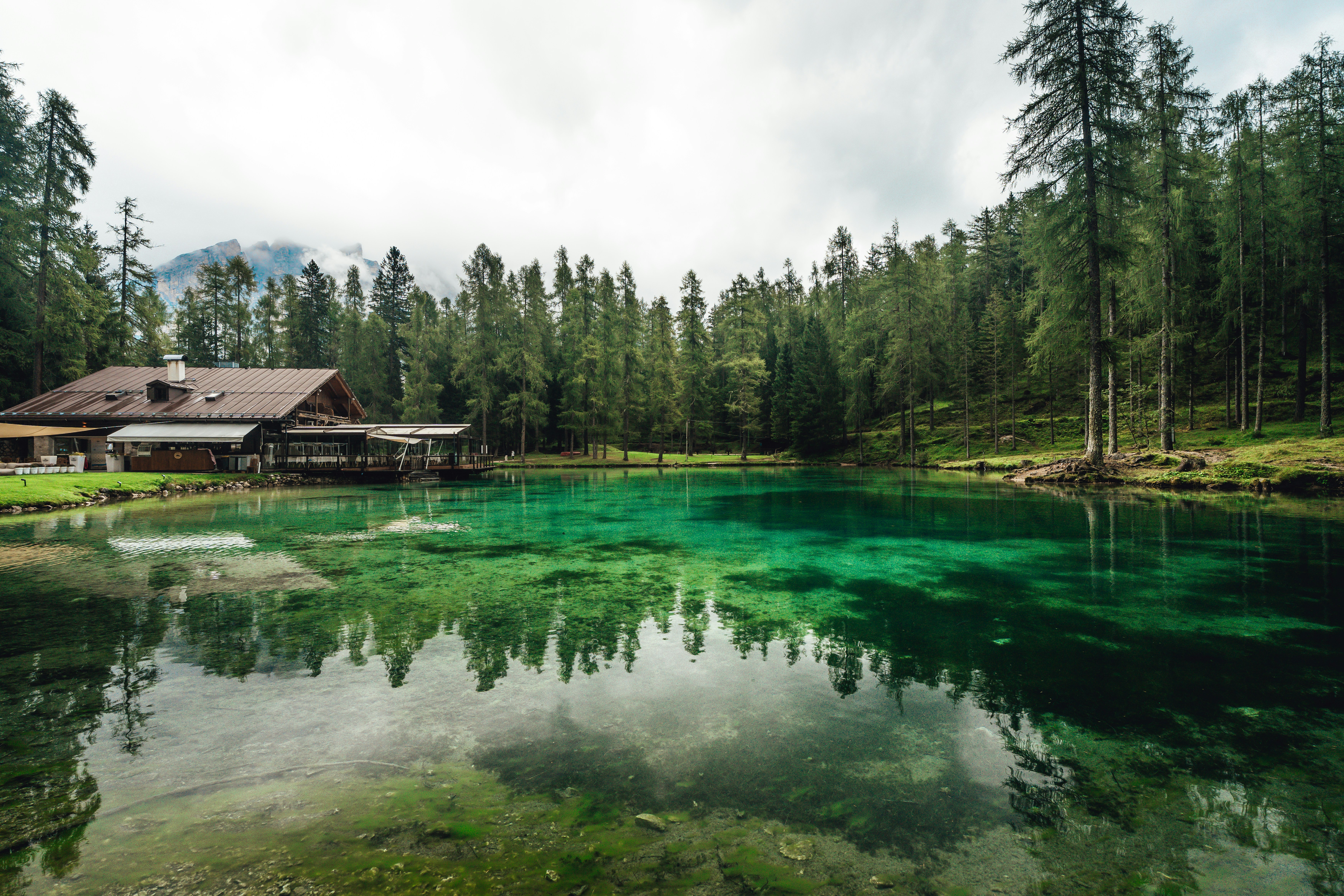 Emerald Mirror: A lakeside chalet Nestled Among Pines