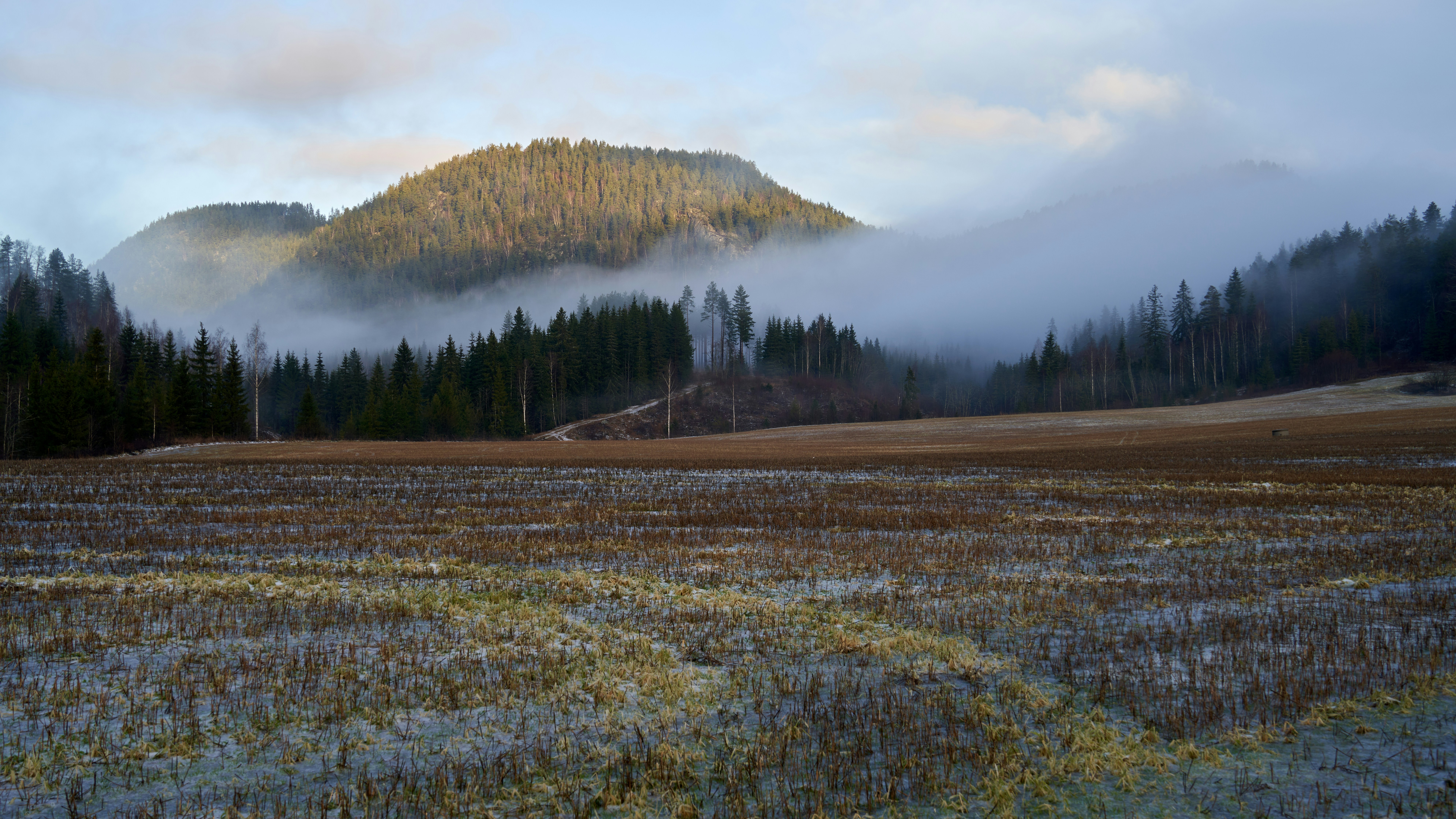 Mist-Laced Ridge: A Quiet Field Beneath a Veiled Peak
