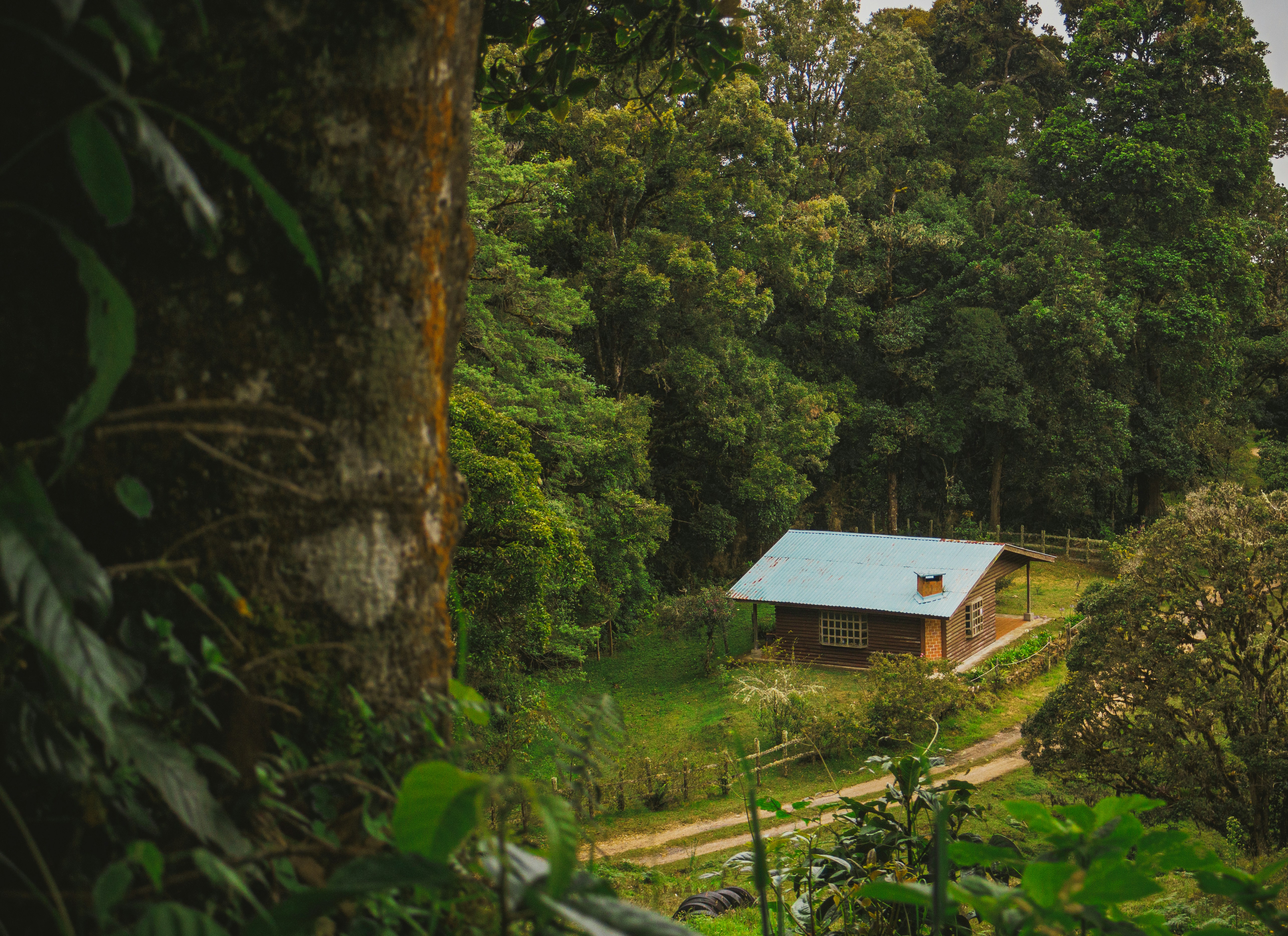 Photo by Eric Blanco with Canon EOS R50