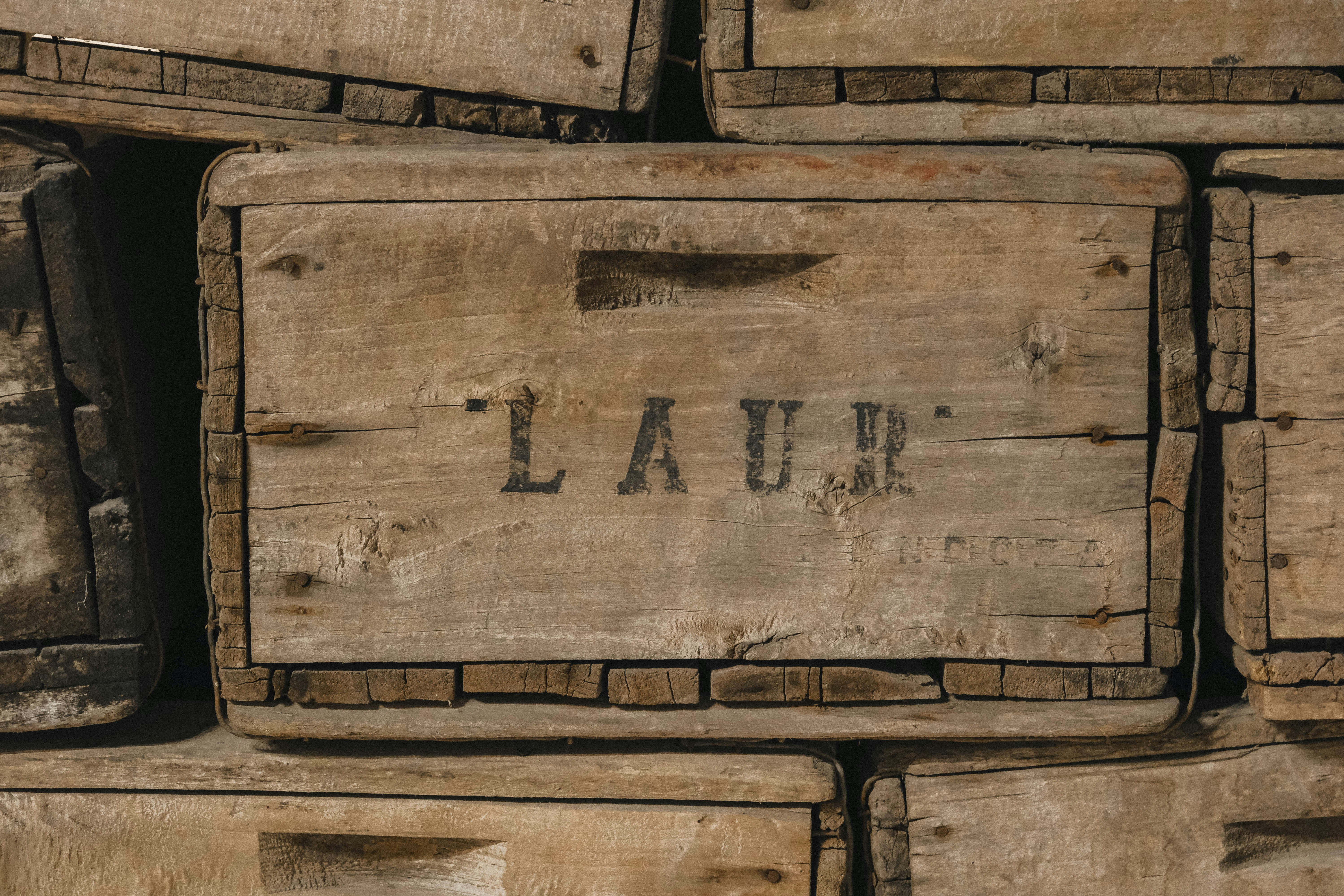 Photo by Joao Vitor Marcilio with Fujifilm X-T30