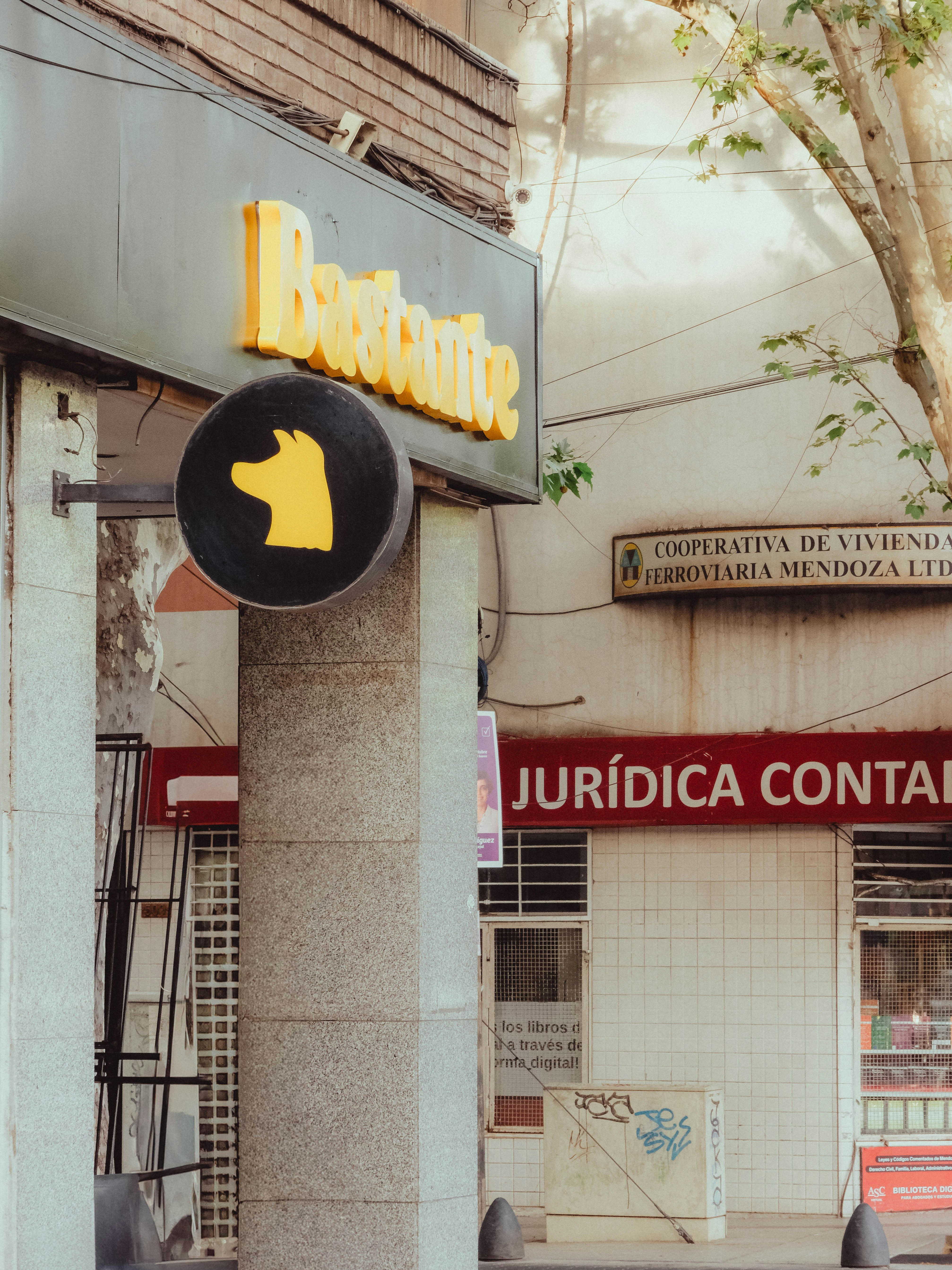 Photo by Joao Vitor Marcilio with Fujifilm X-T30