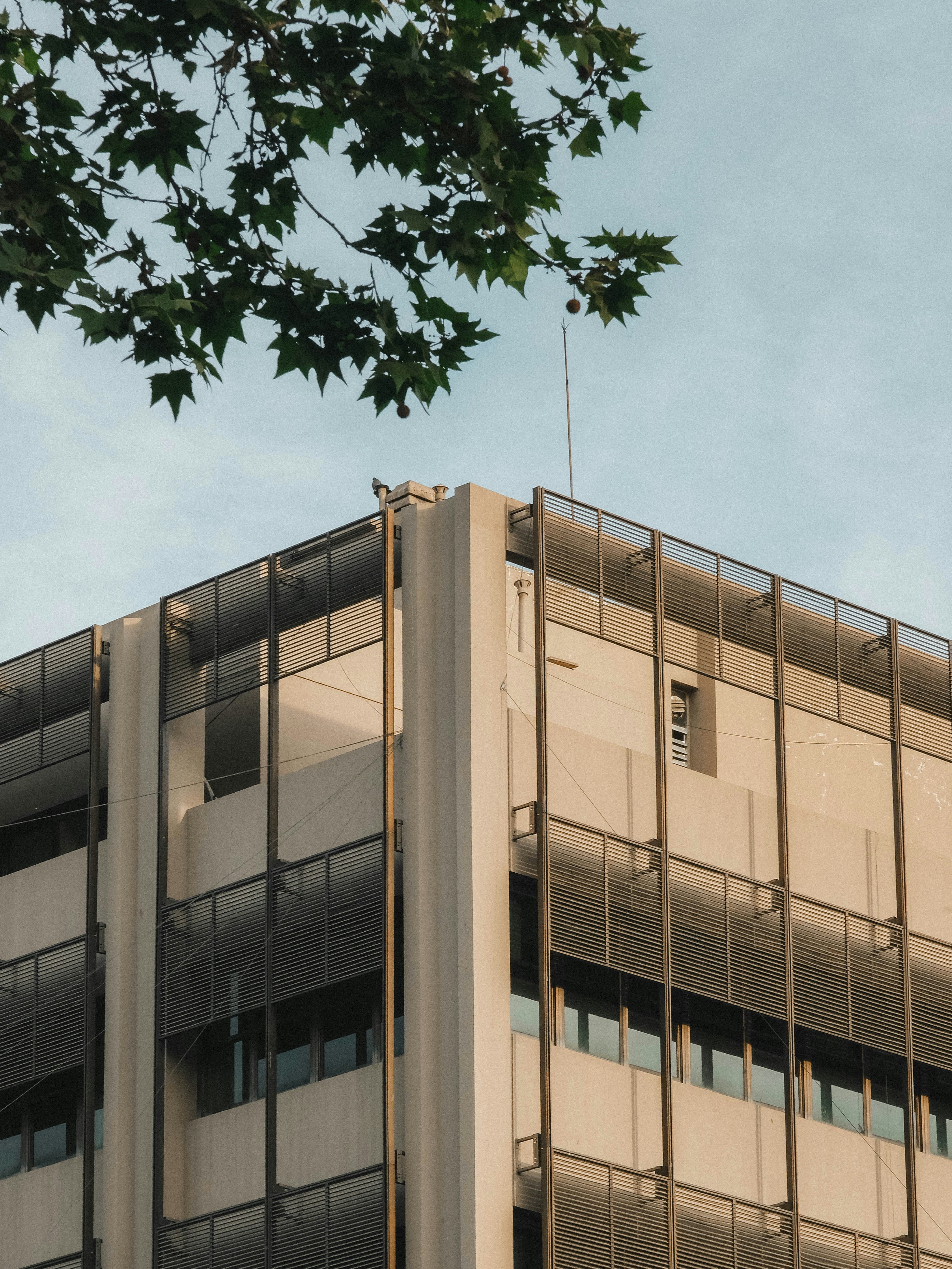 Photo by Joao Vitor Marcilio with Fujifilm X-T30