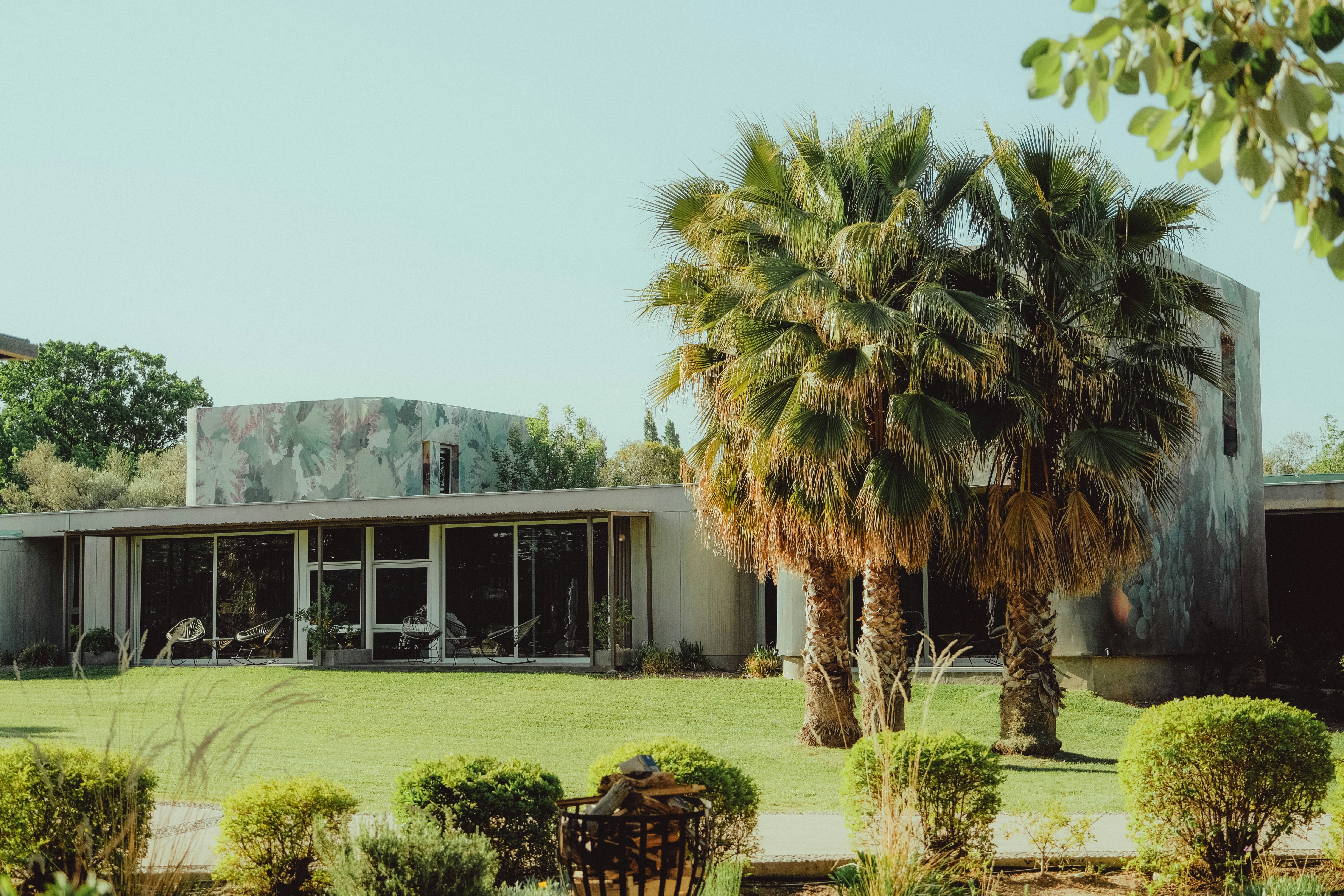 Photo by Joao Vitor Marcilio with Fujifilm X-T30