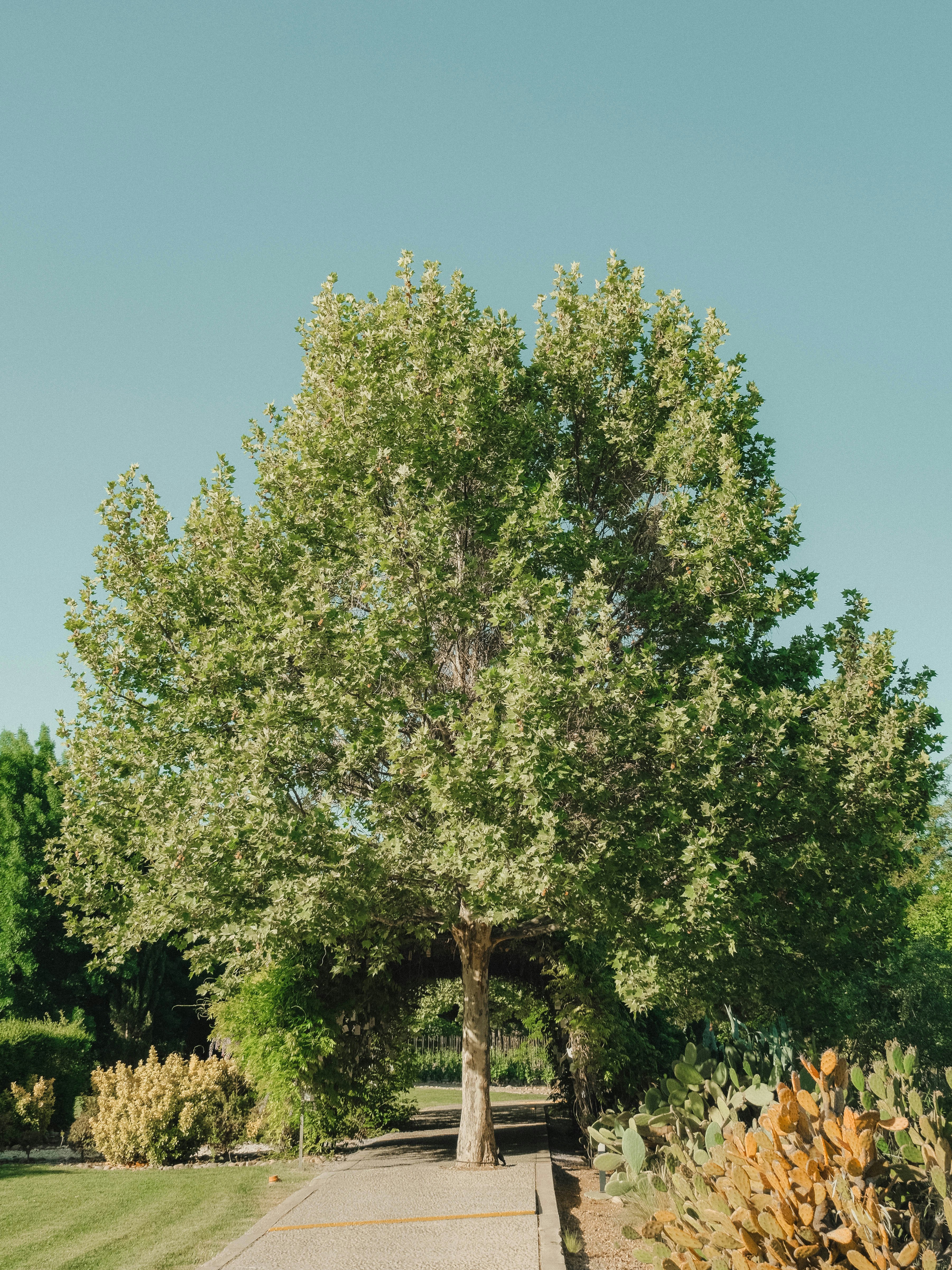 Photo by Joao Vitor Marcilio with Fujifilm X-T30