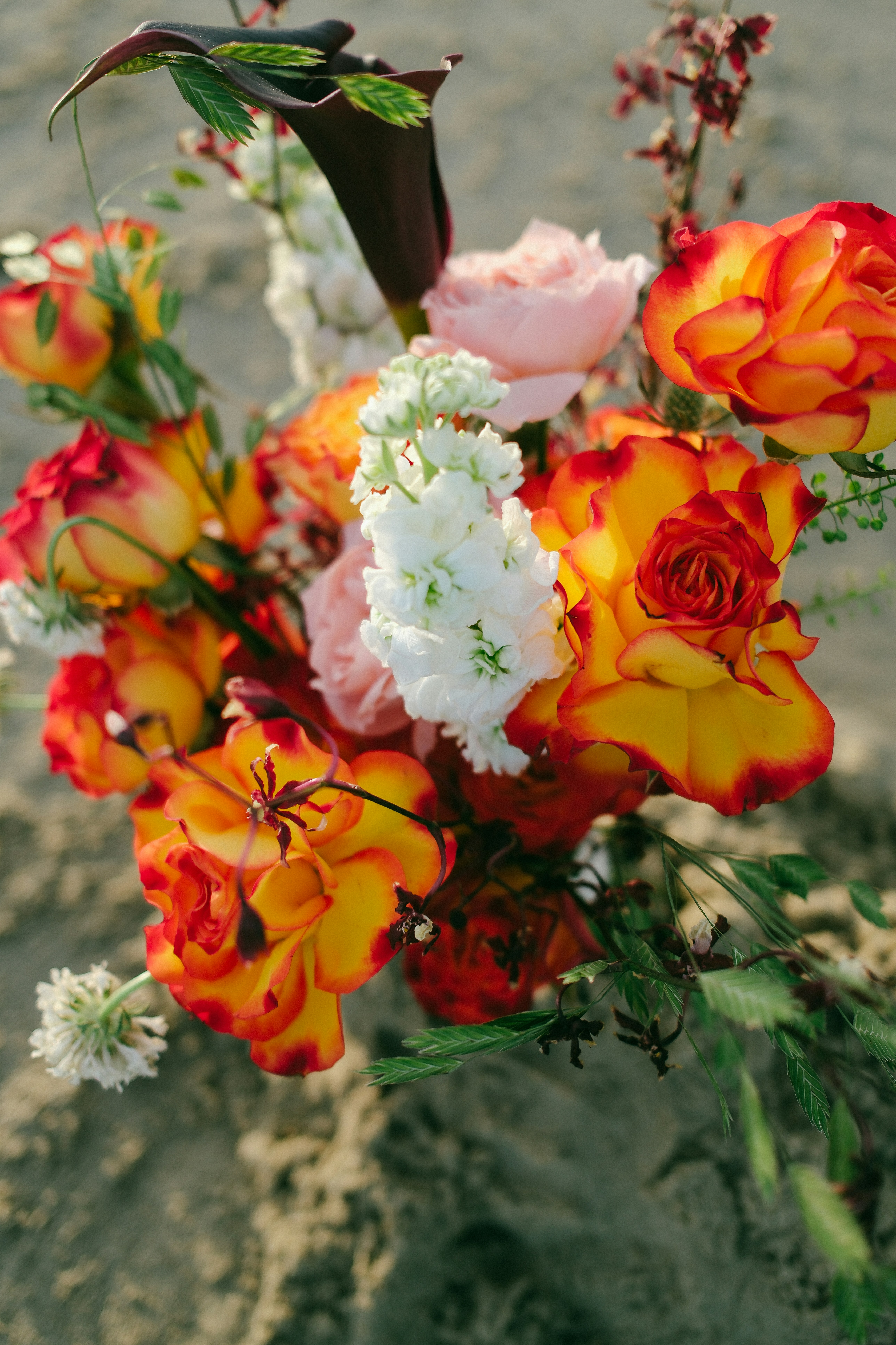 Flaming Petals: A Bouquet of Orange-Red Roses and White Accents
