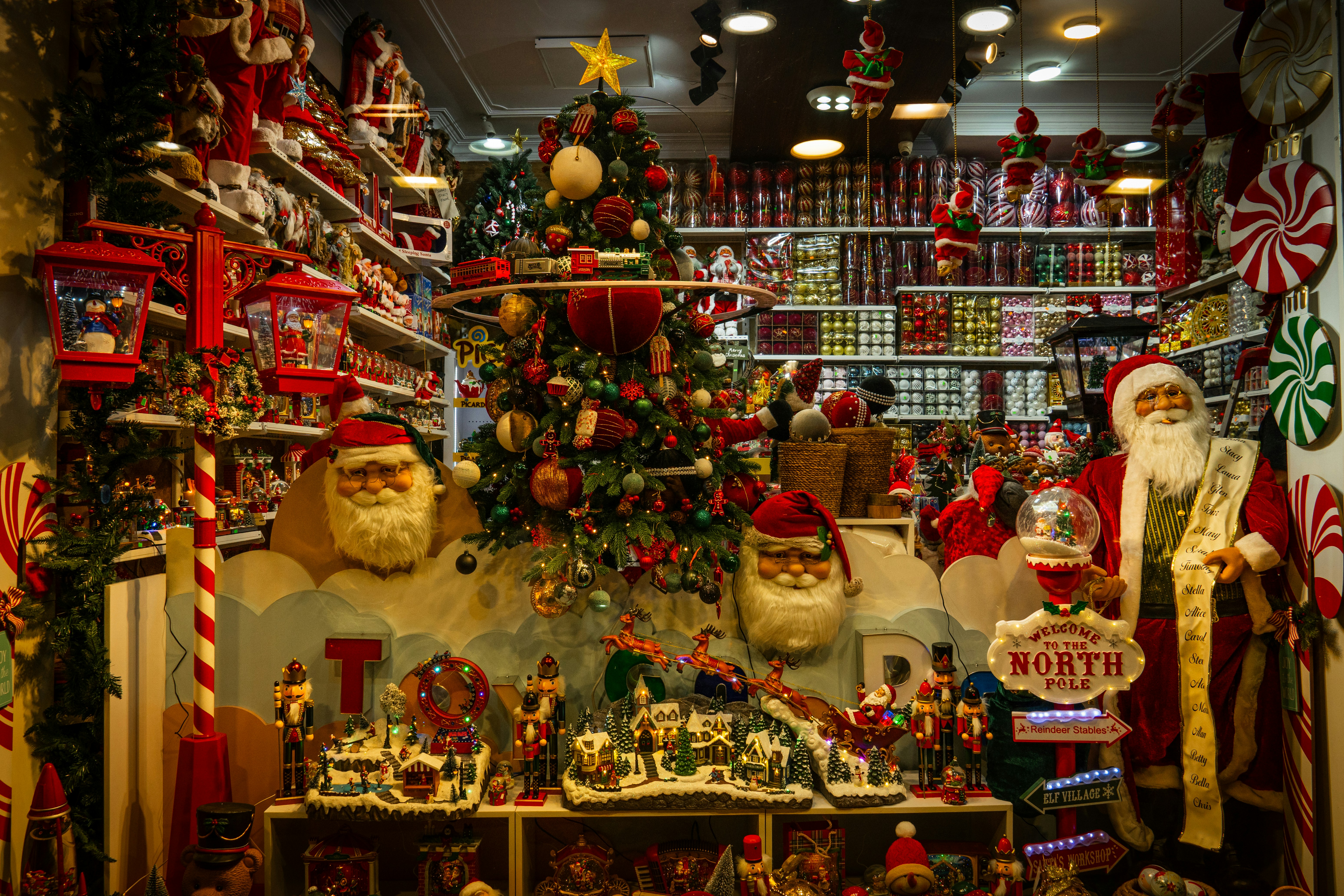 Photo by Mahdi Mahmoodi with Sony Alpha 6700