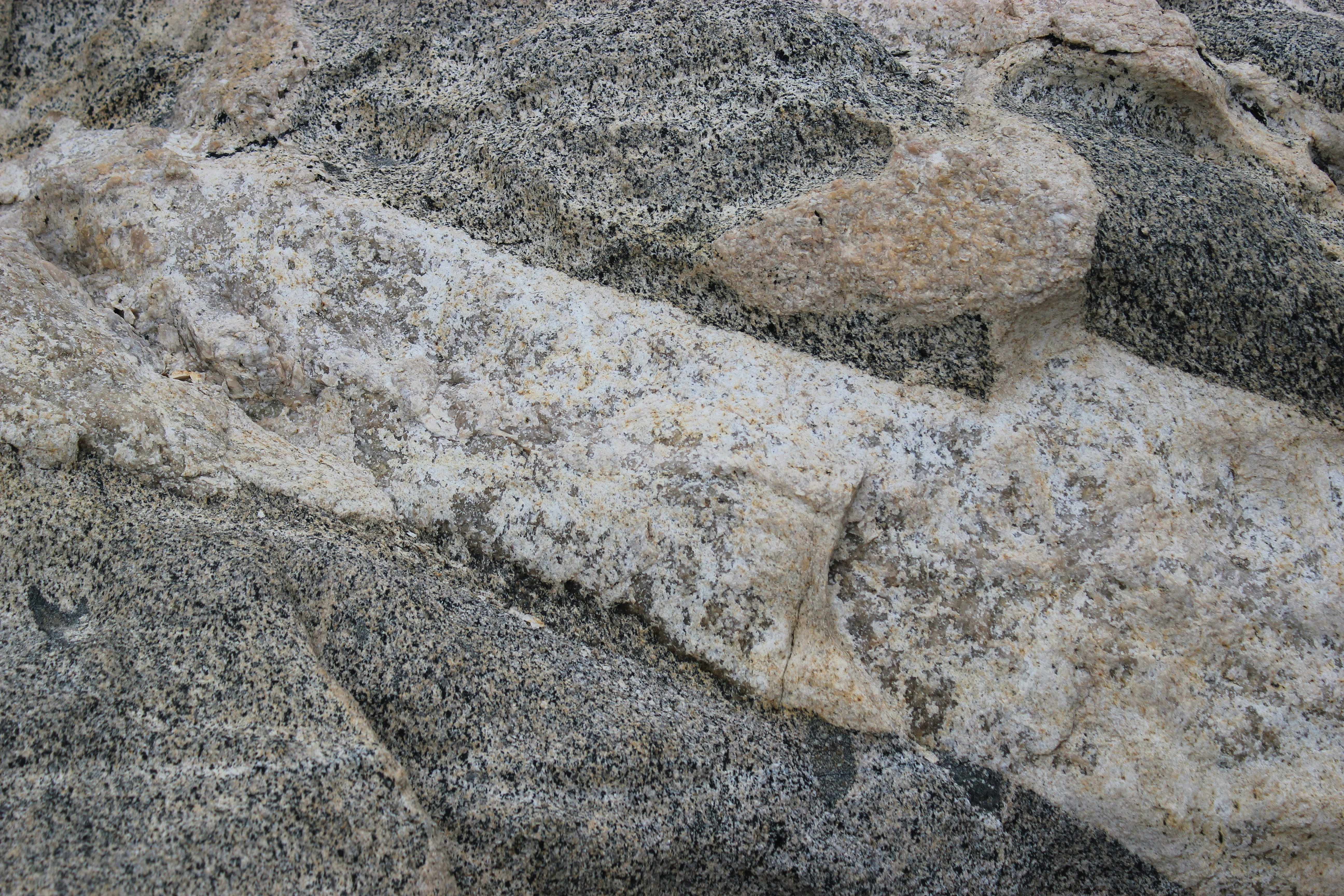 Contrasting layers of light and dark stone, showing mineral variation and natural erosion. Textured rock surface with organic shapes and muted, earthy tones.