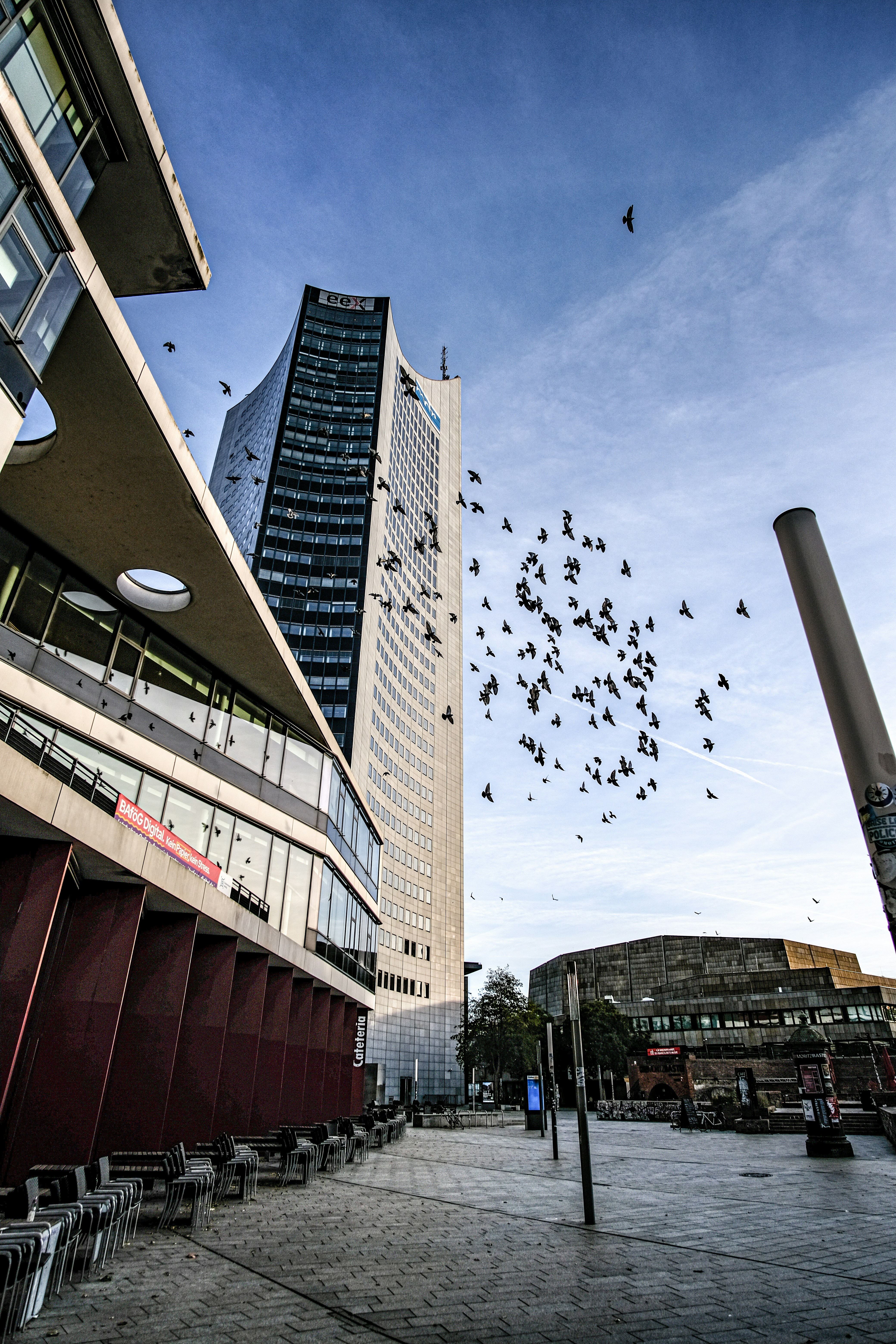 Urban Flight: Flock over a Modern Plaza