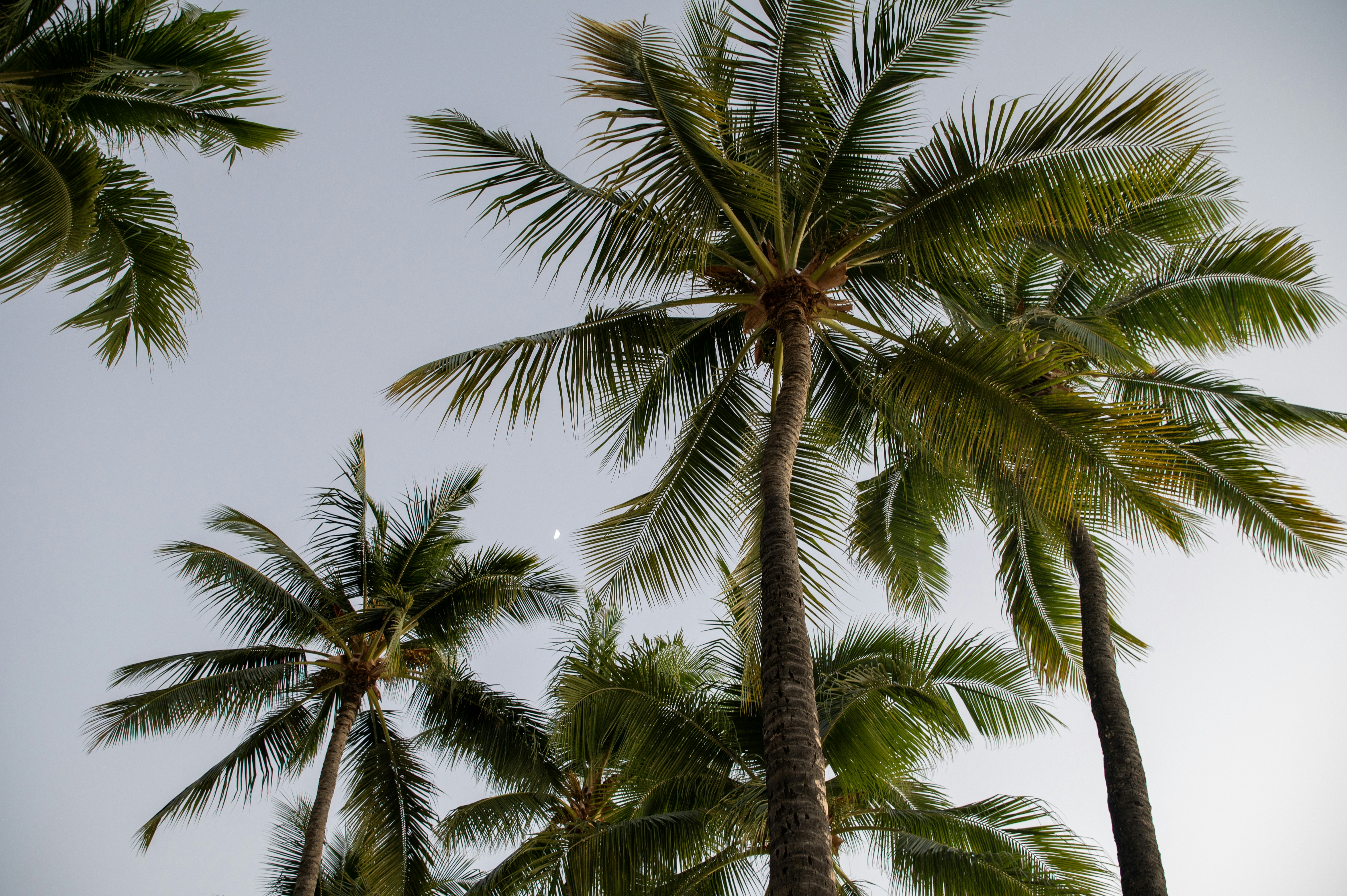 Photo by Trac Vu with Nikon D780