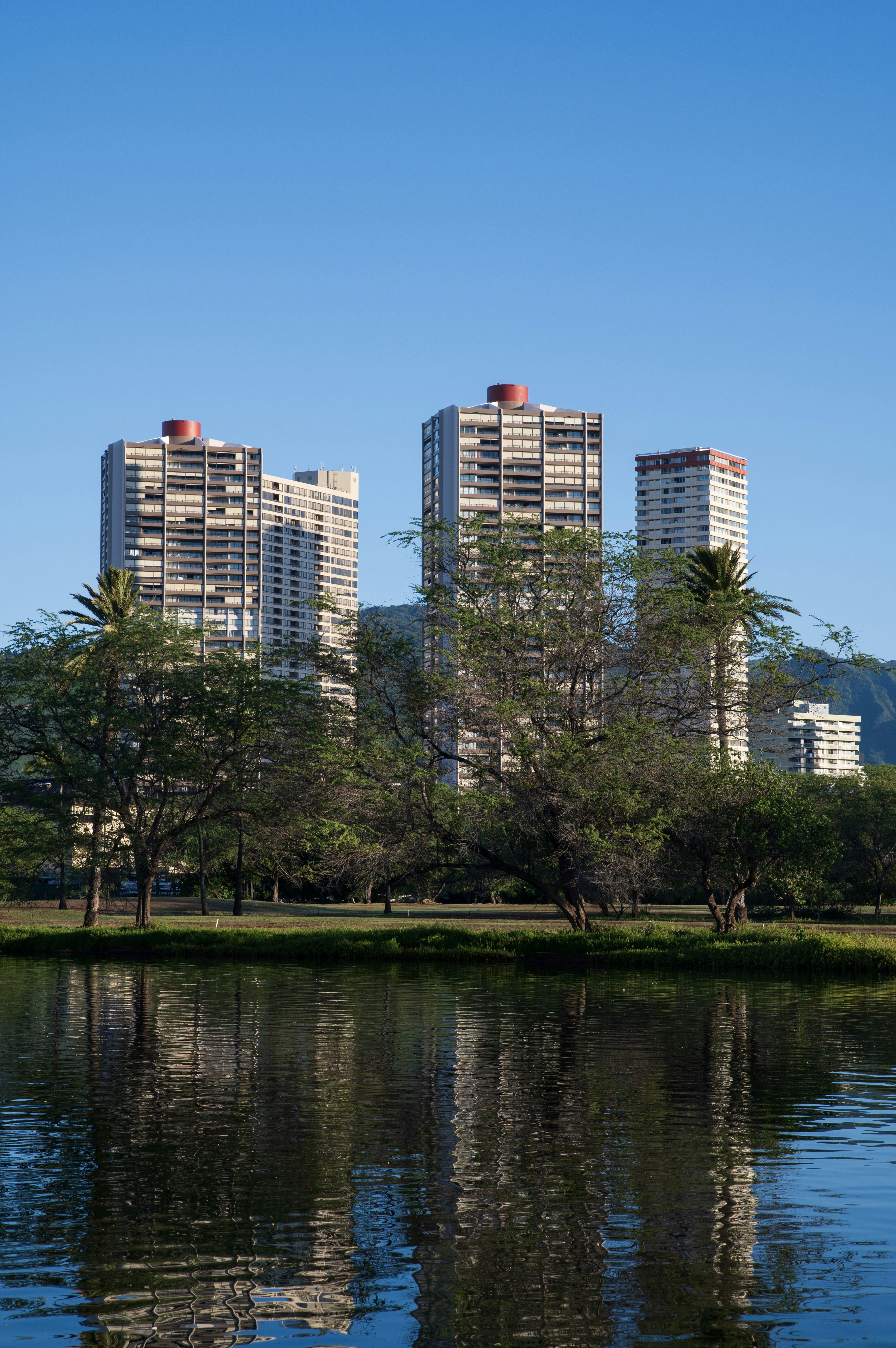 Photo by Trac Vu with Nikon D780