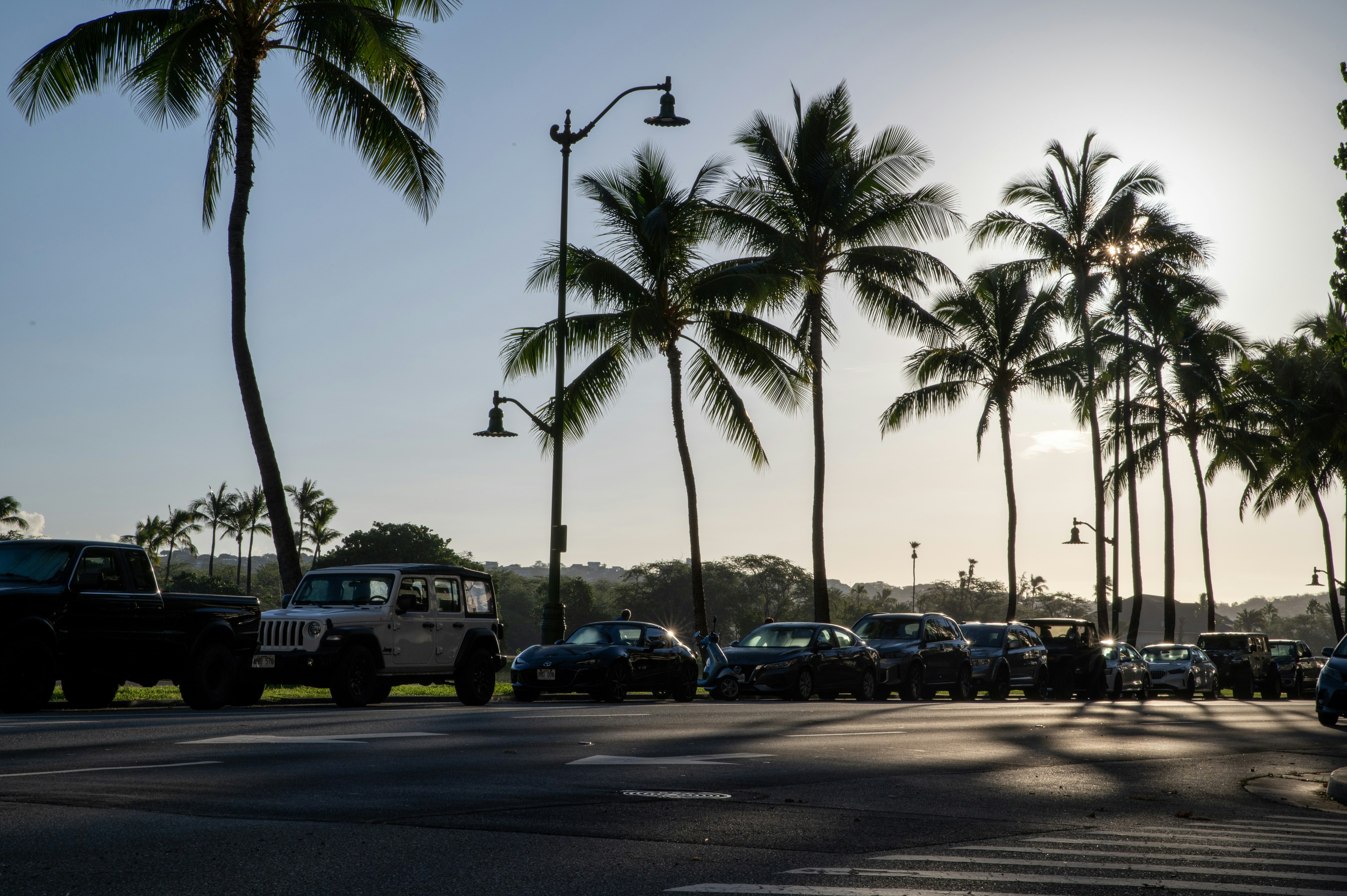 Palm-lined Sunset Parking Lot Under Subtle Backlight