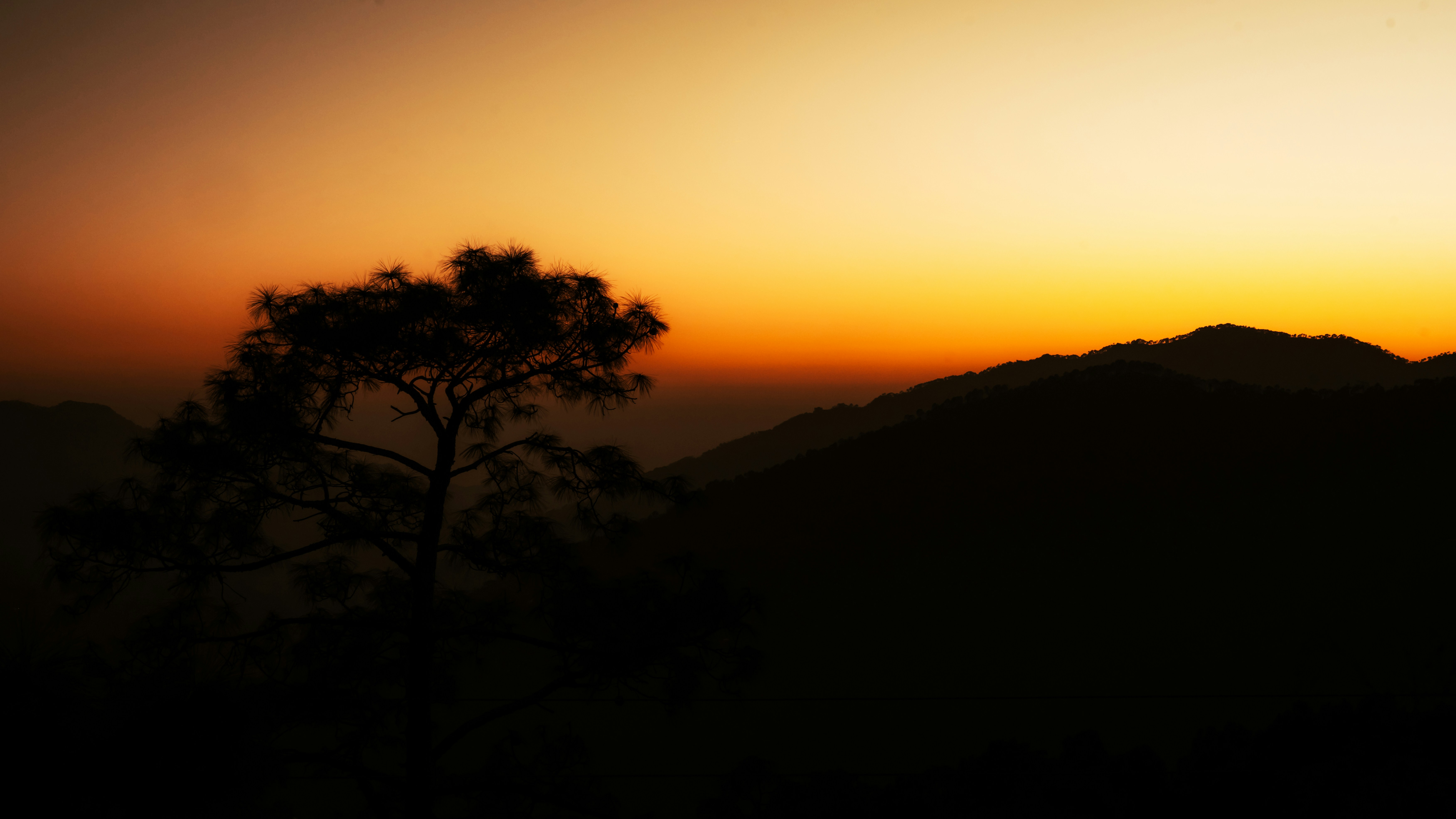 Photo by Aniket Narula with Sony Alpha 7 IV