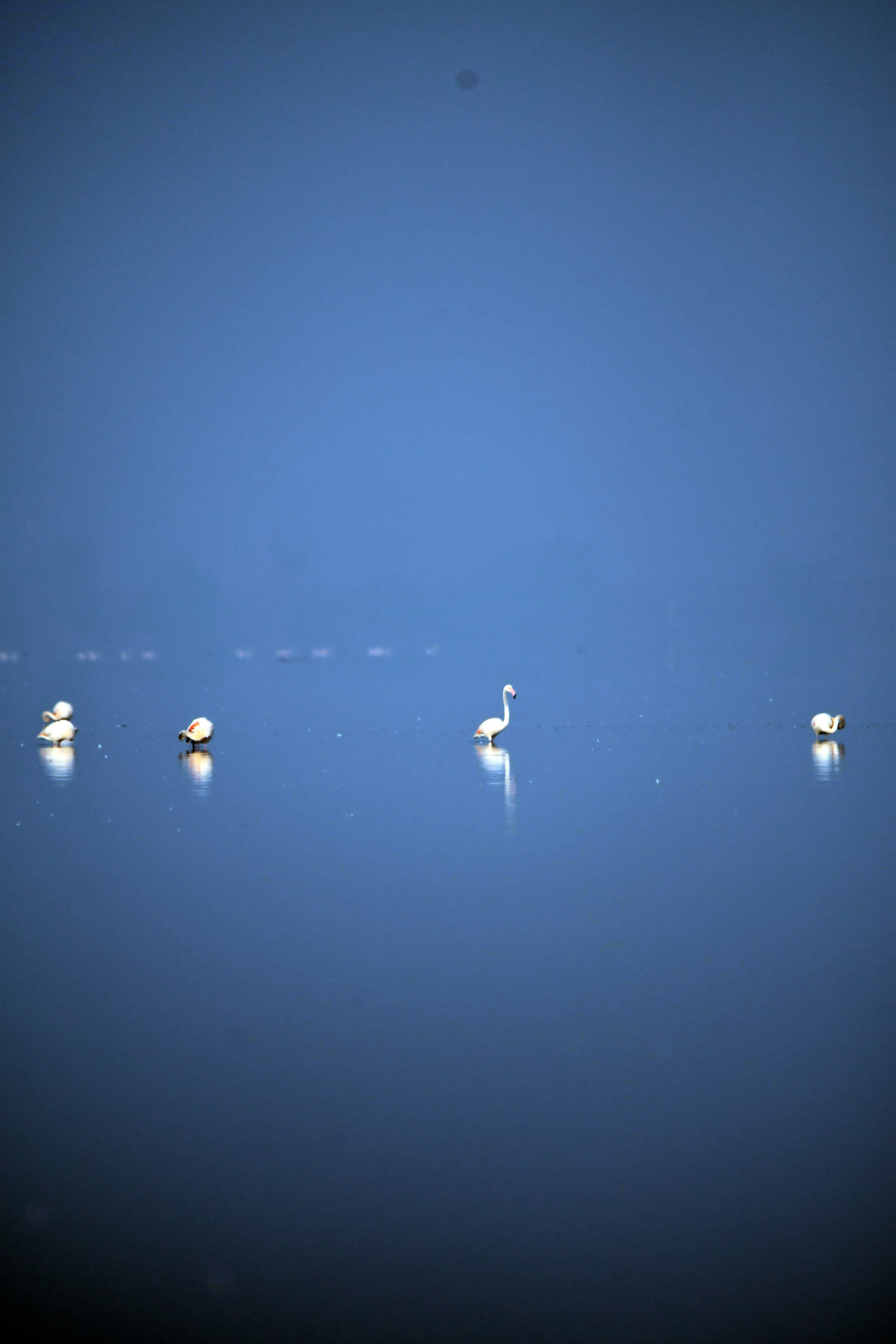 Photo by Amit Rai with Nikon D7500