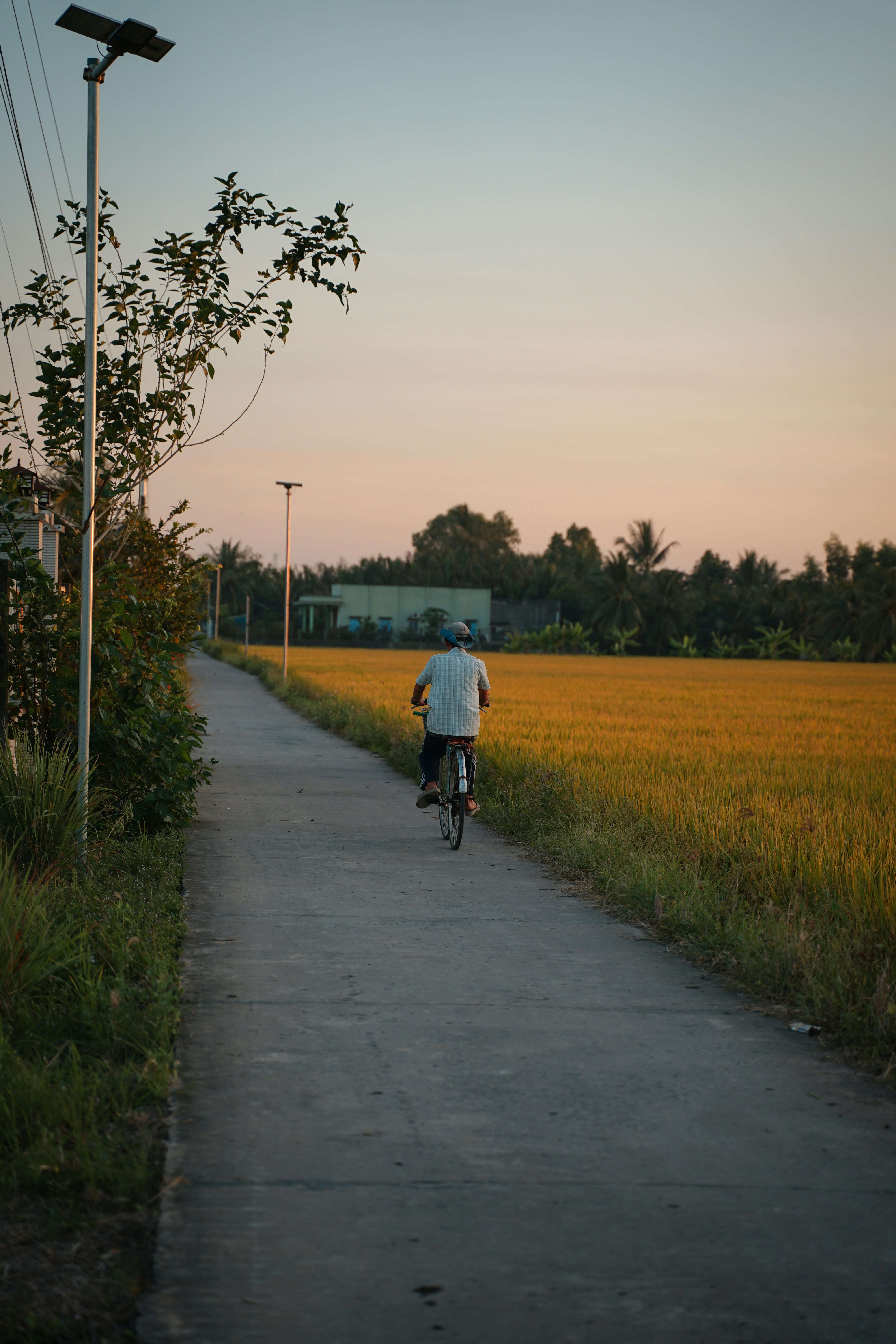 Photo by Irish83 with Sony Alpha 7 II