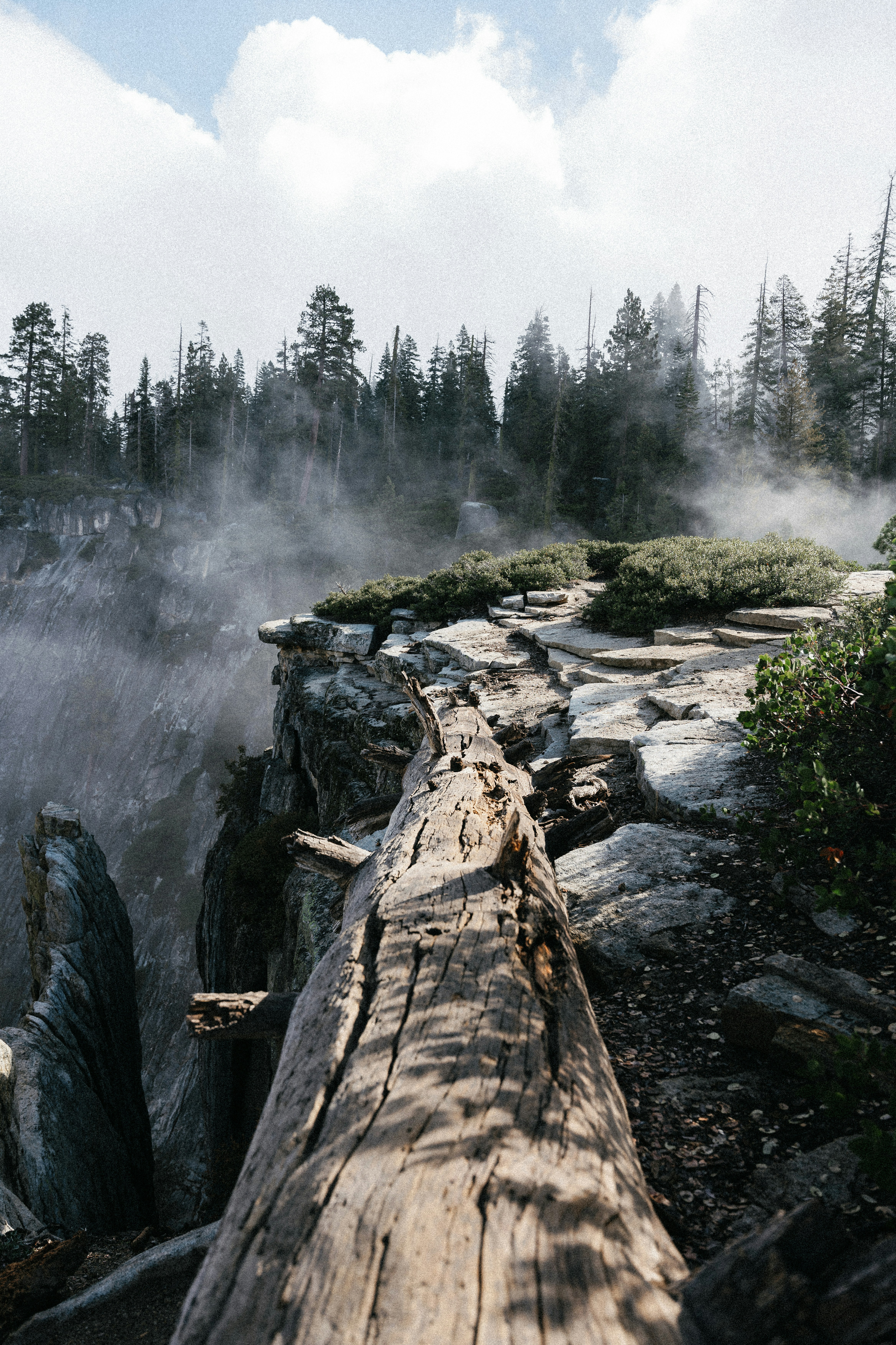 Edge of the Canyon: Weathered Log Trail Over a Misty Cliff