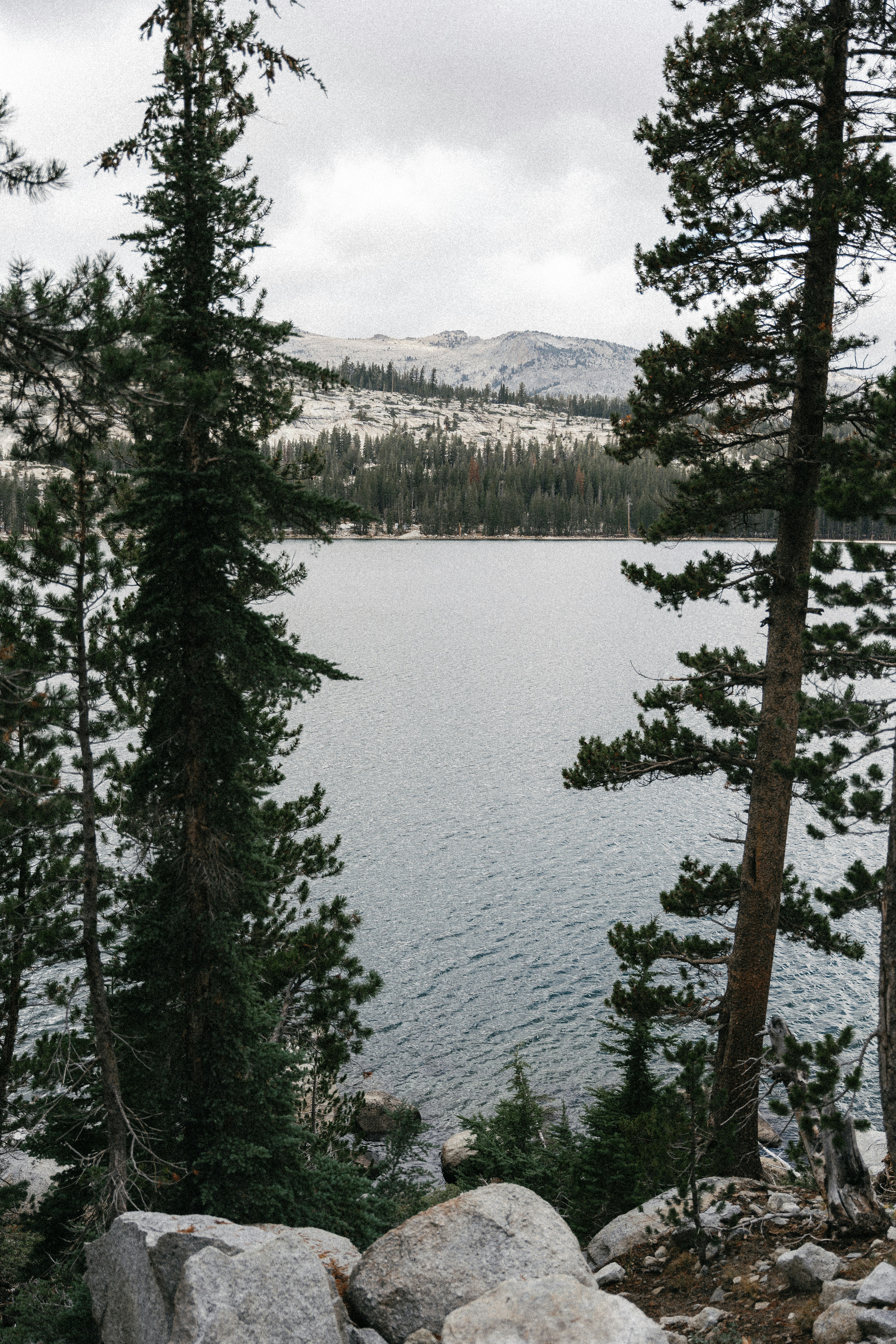 Photo by Roberto Shumski with Sony Alpha 7 IV