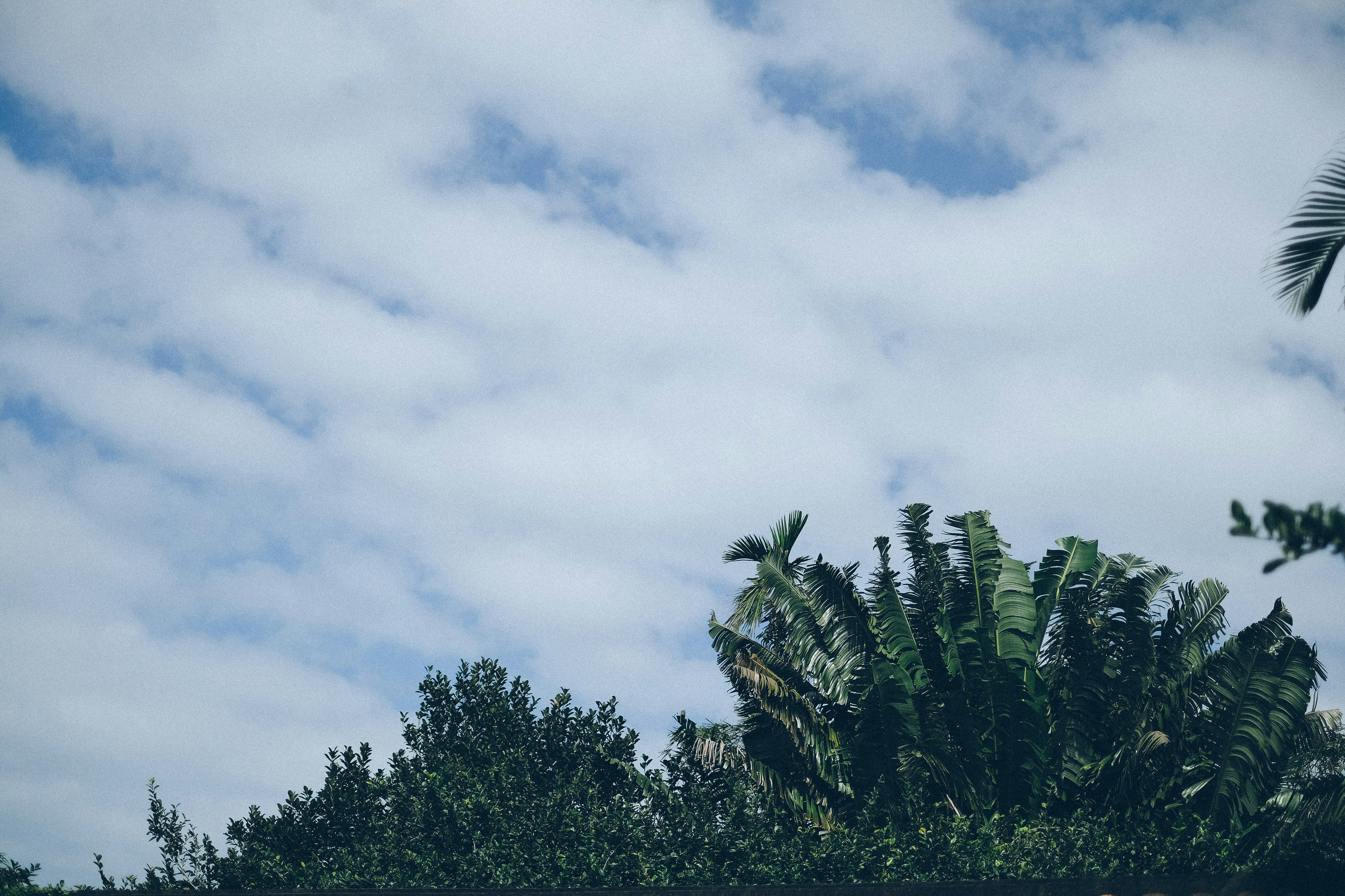 Photo by Hoi An Photographer with Fujifilm X-E3