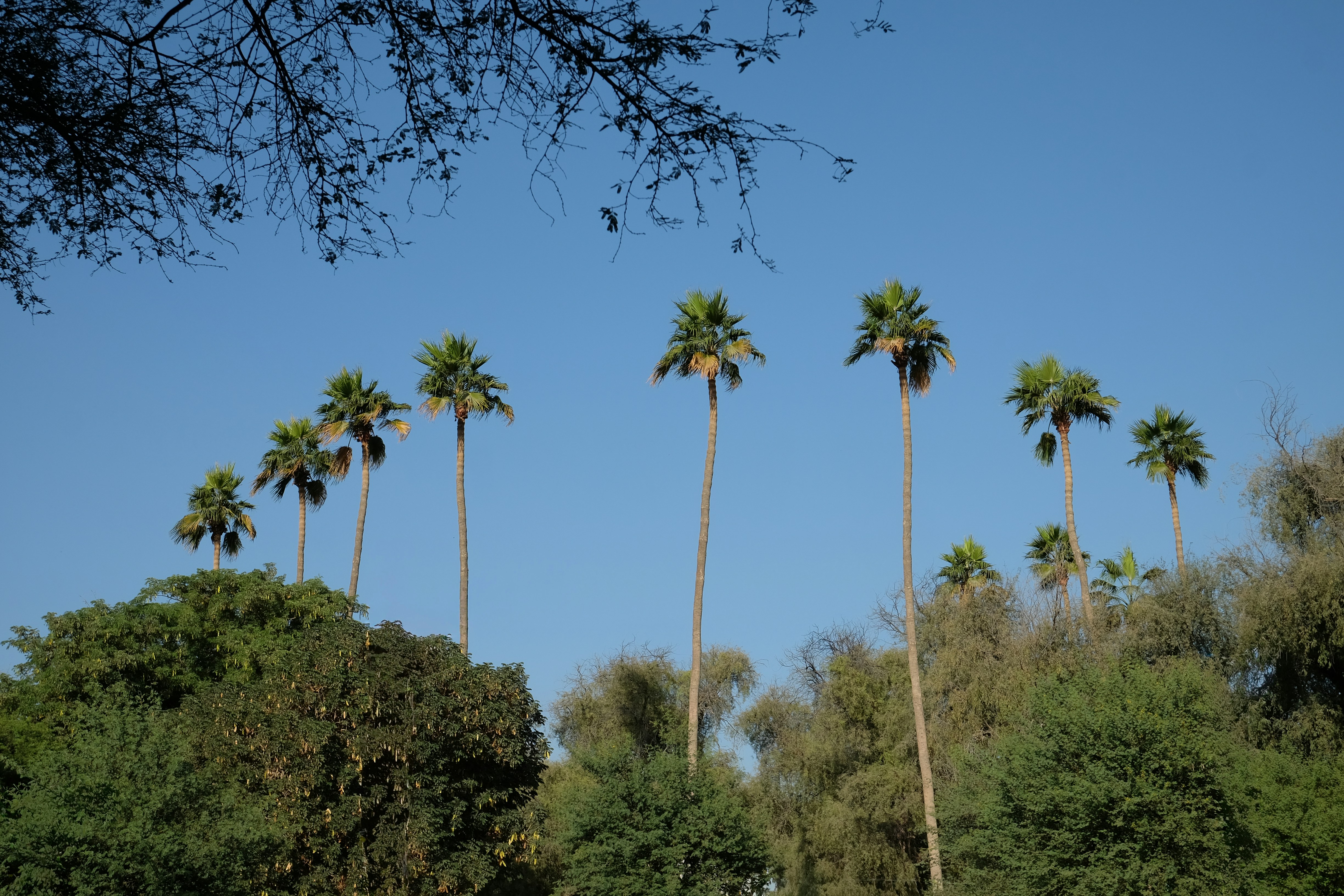 Photo by Vanburn Gonsalves with Fujifilm X-T10