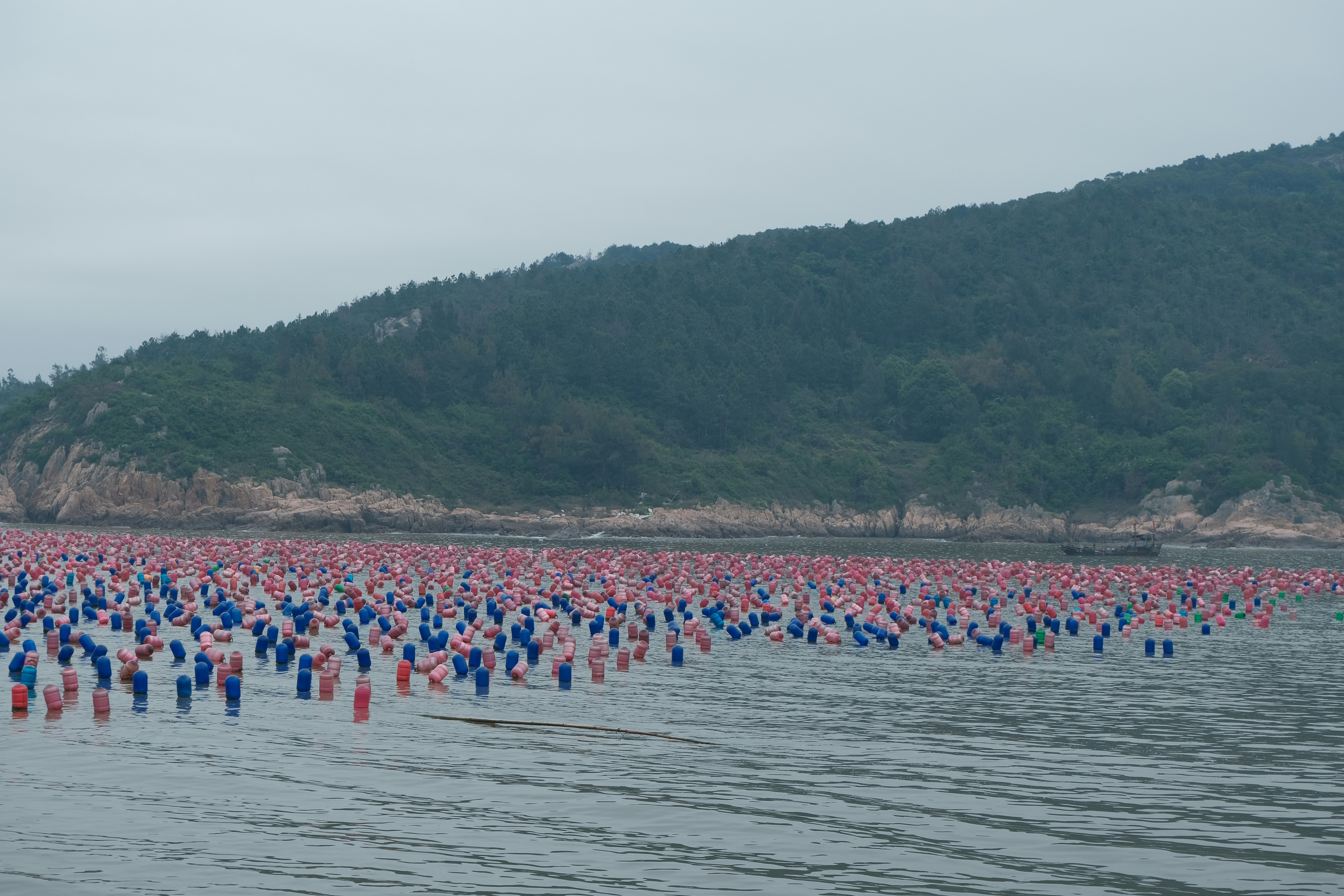 Photo by 雙 film with Fujifilm X-T30 II