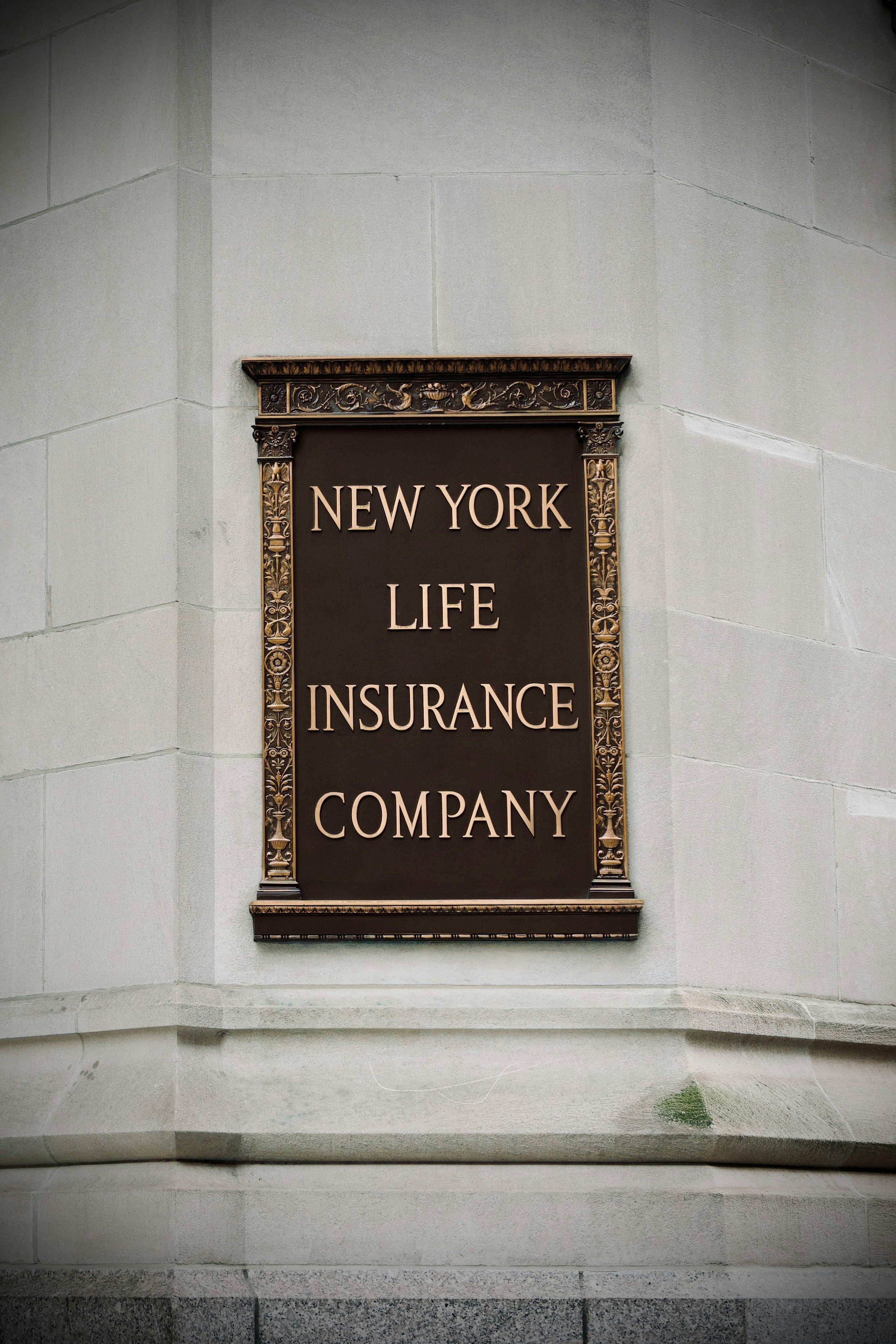 Photo by Koty Moore with Sony Alpha 7C II