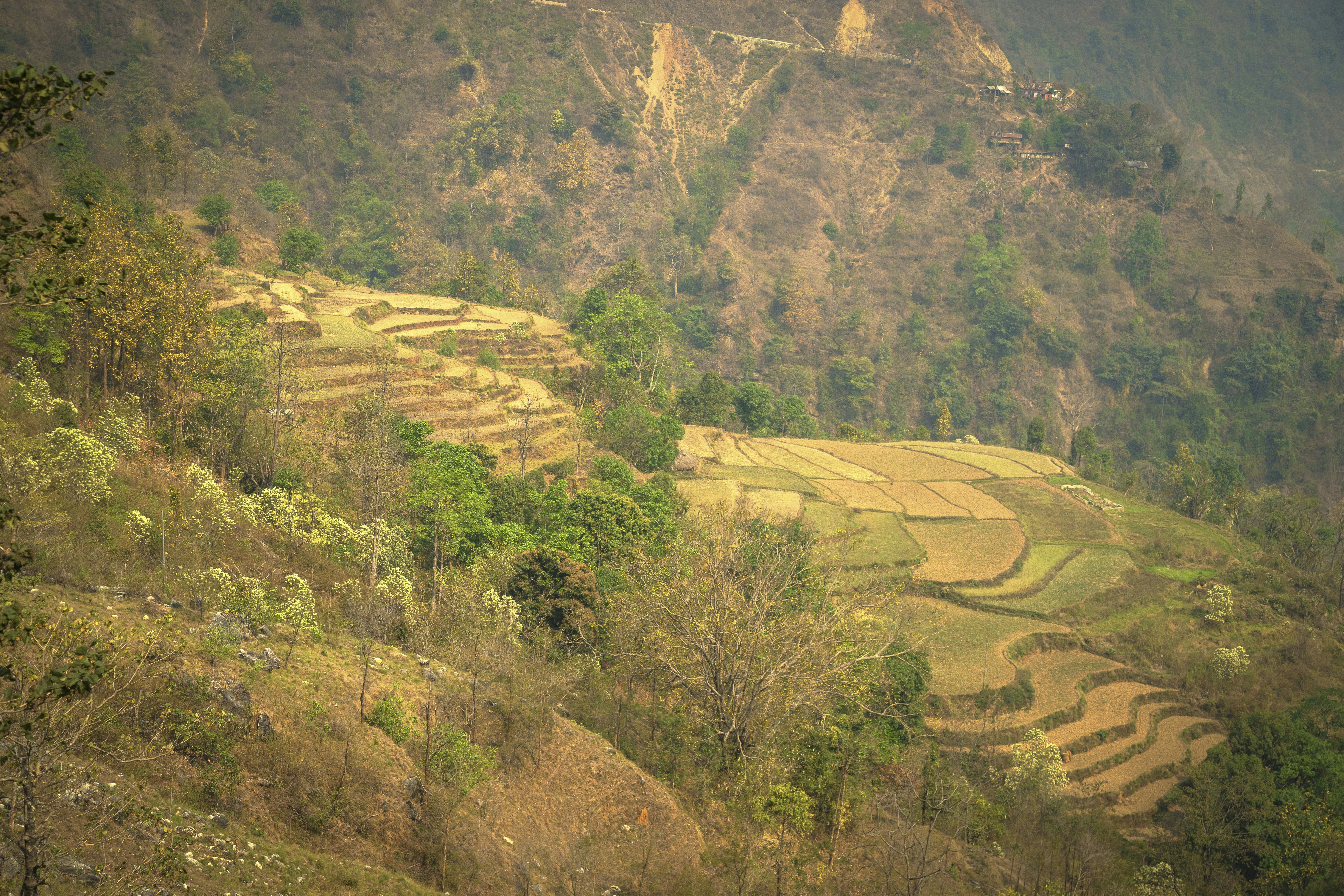 Photo by ashok acharya with Canon EOS 6D Mark II