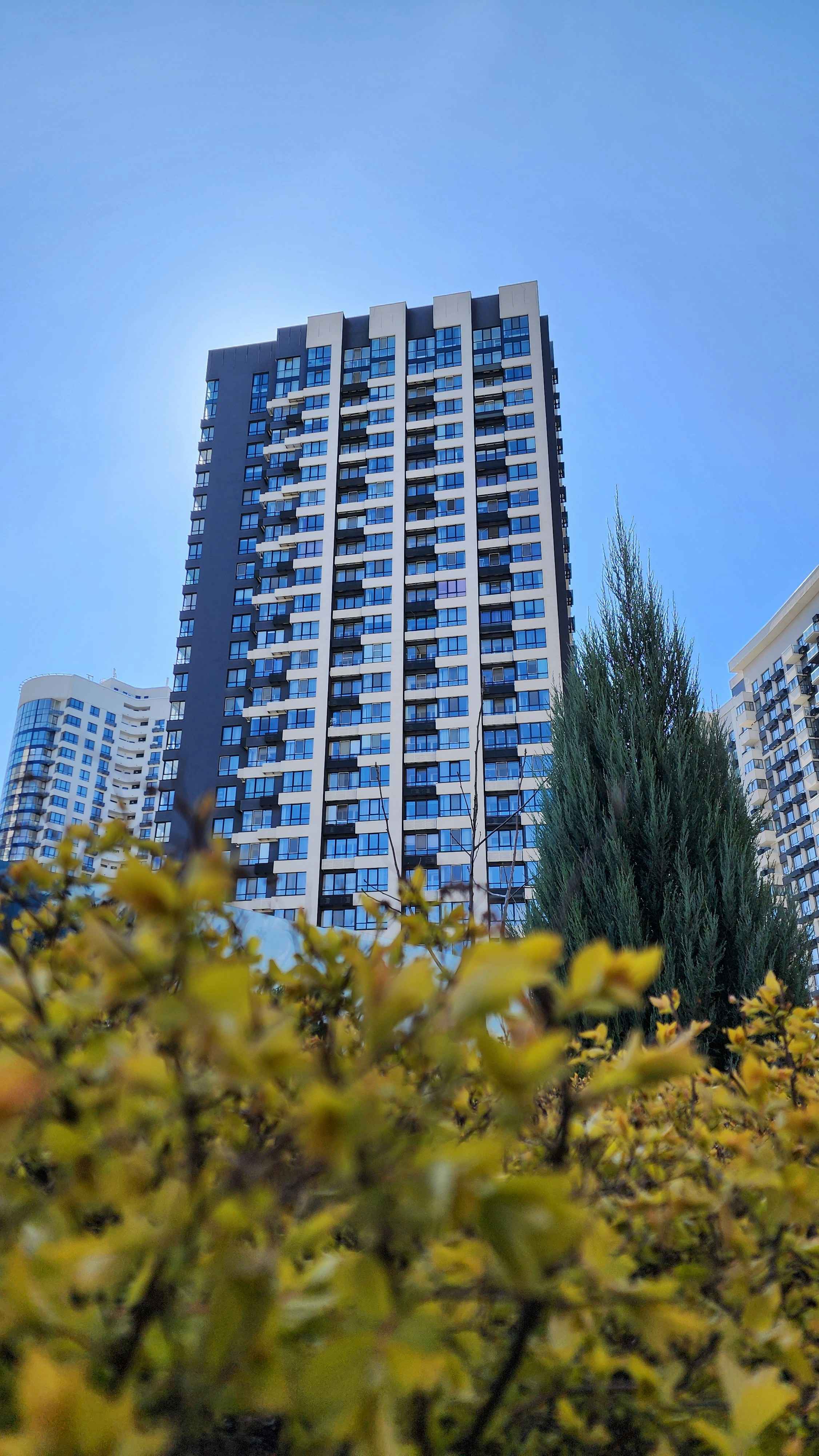 Skyward Concrete: A Tower Rises Above Autumn Foliage