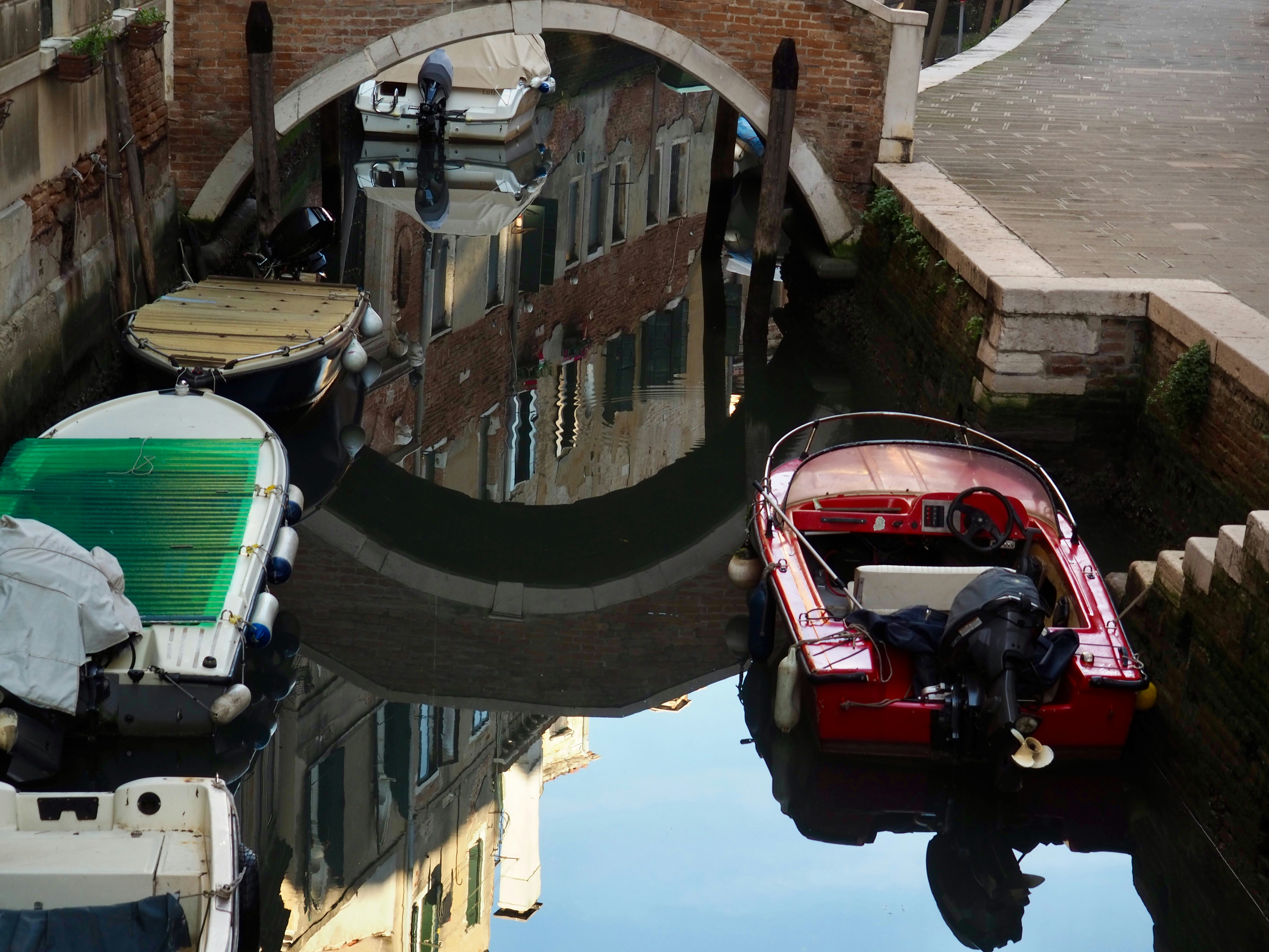 Photo by Denis Denis with Olympus OM-D E-M10 Mark III