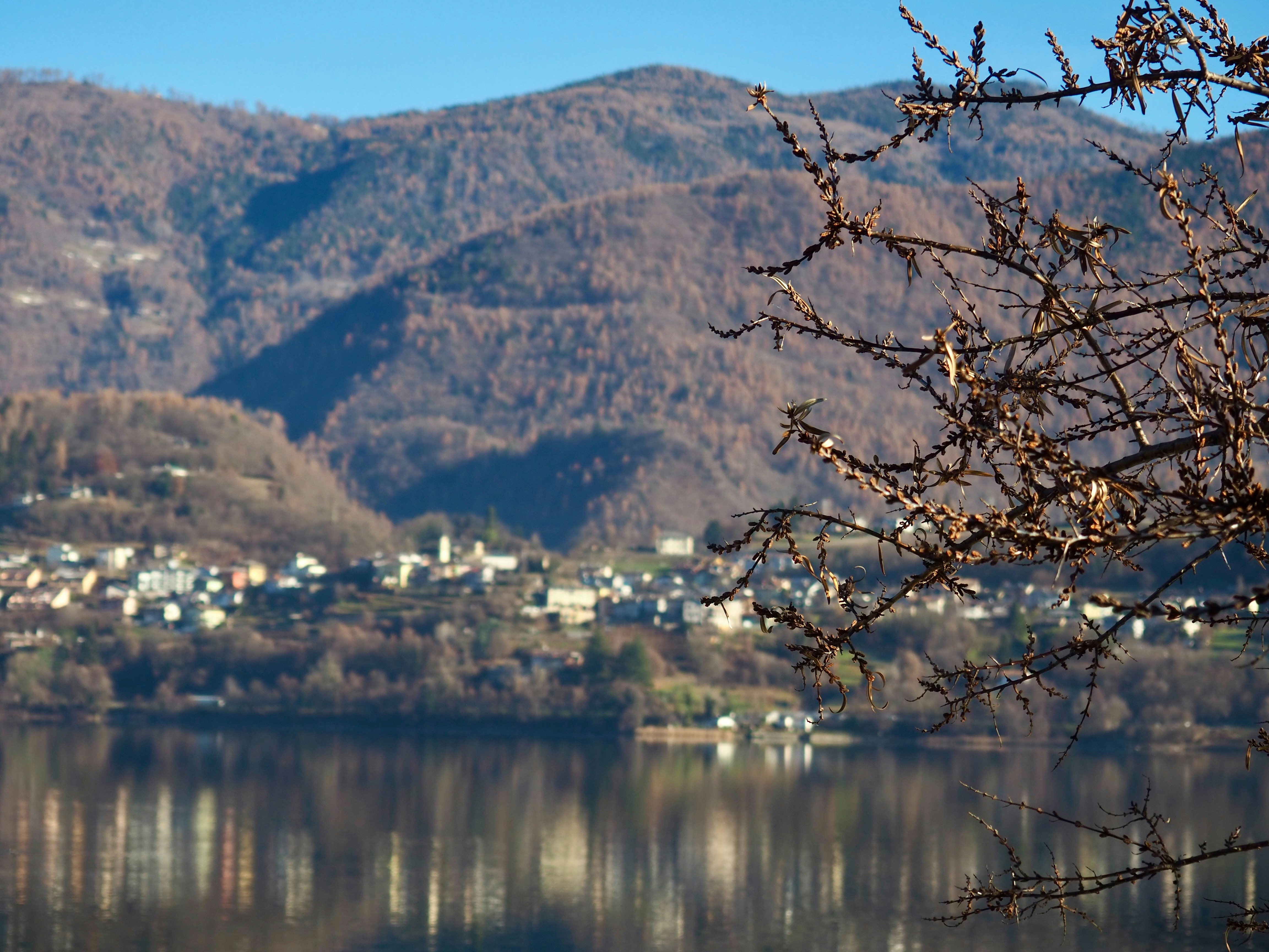 Shoreline Village Beneath Quiet Mountains
