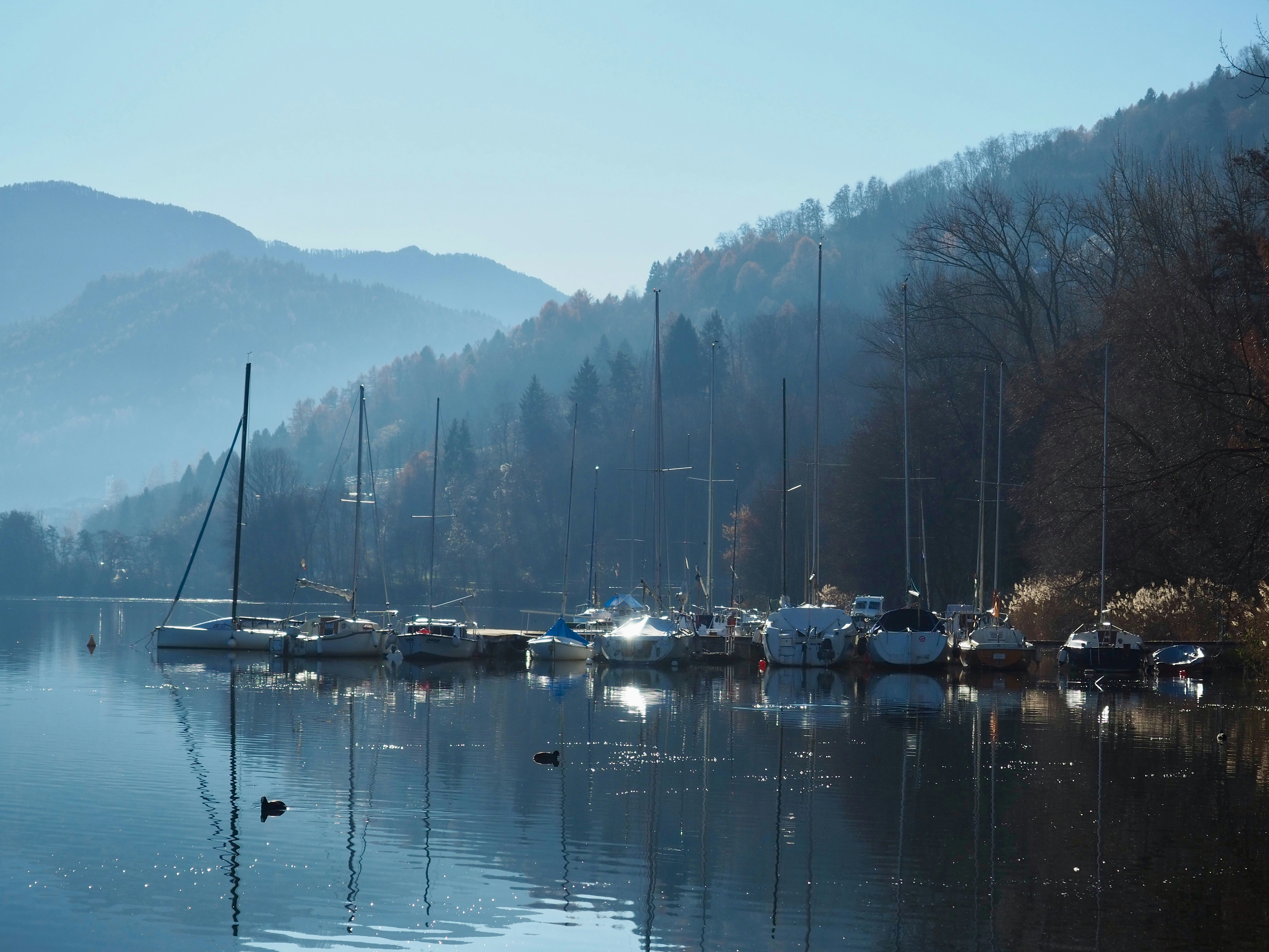 Photo by Denis Denis with Olympus OM-D E-M10 Mark III