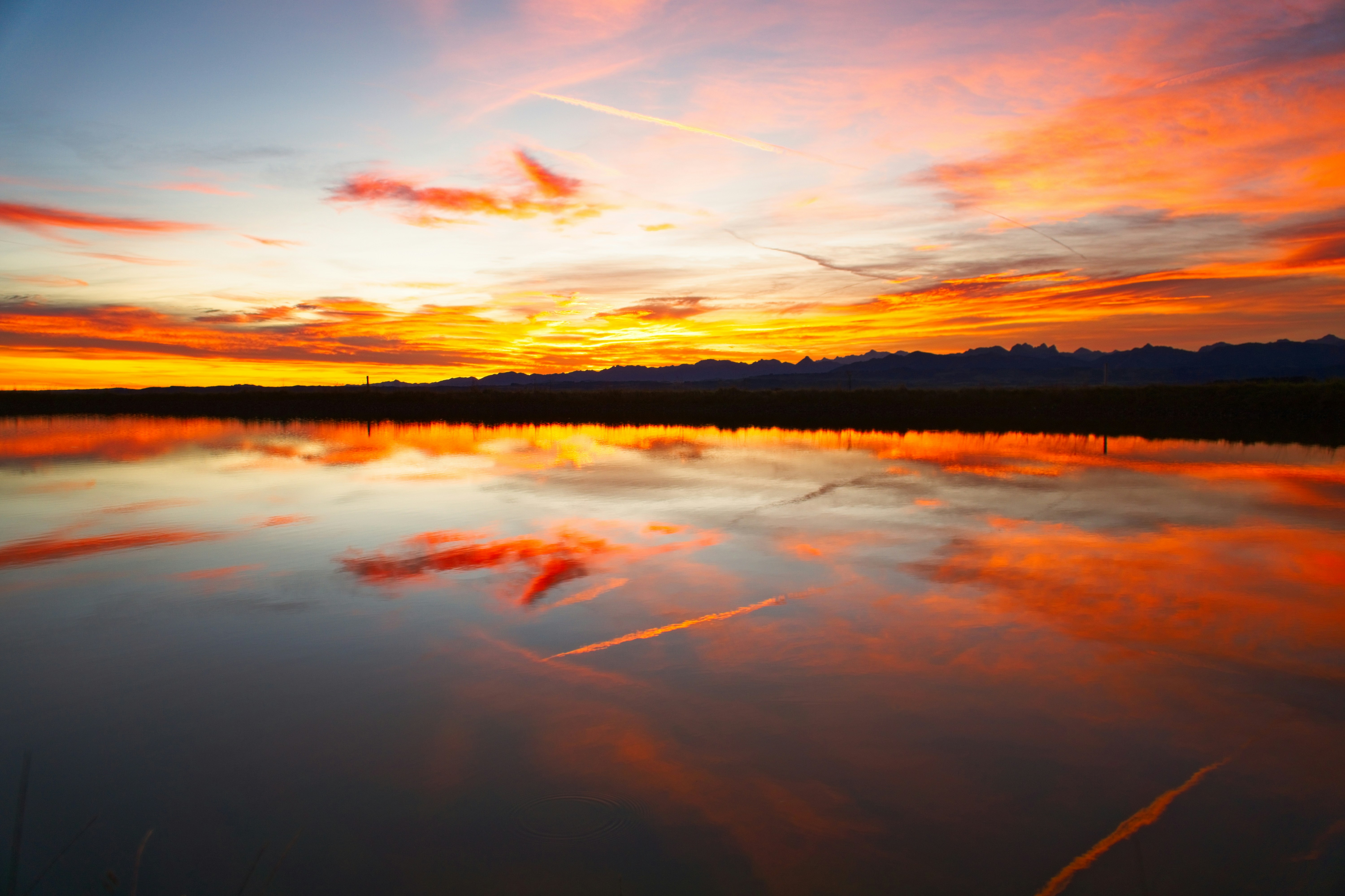 Photo by Julian Zwengel with Sony Alpha 6300