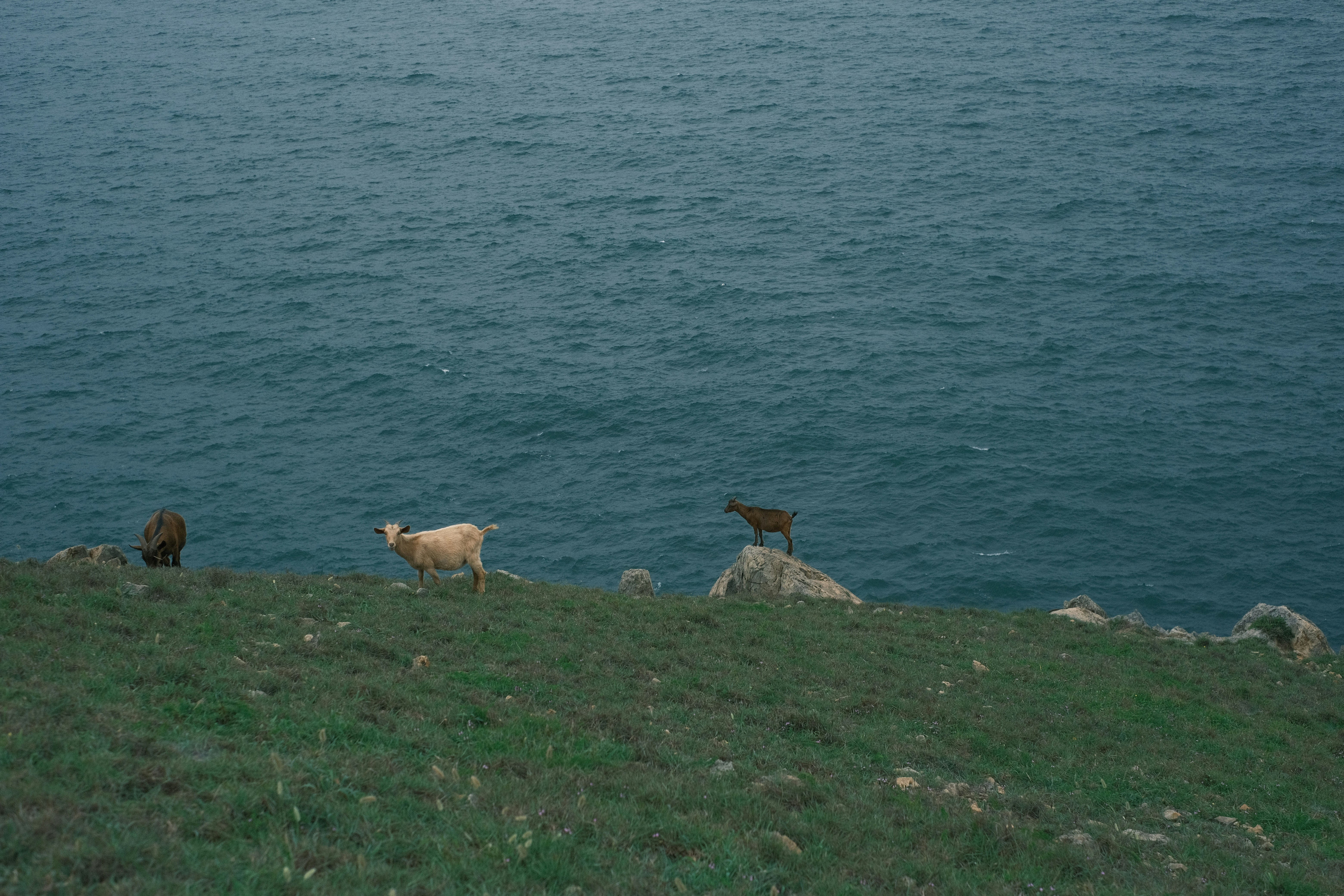 Photo by 雙 film with Fujifilm X-T30 II