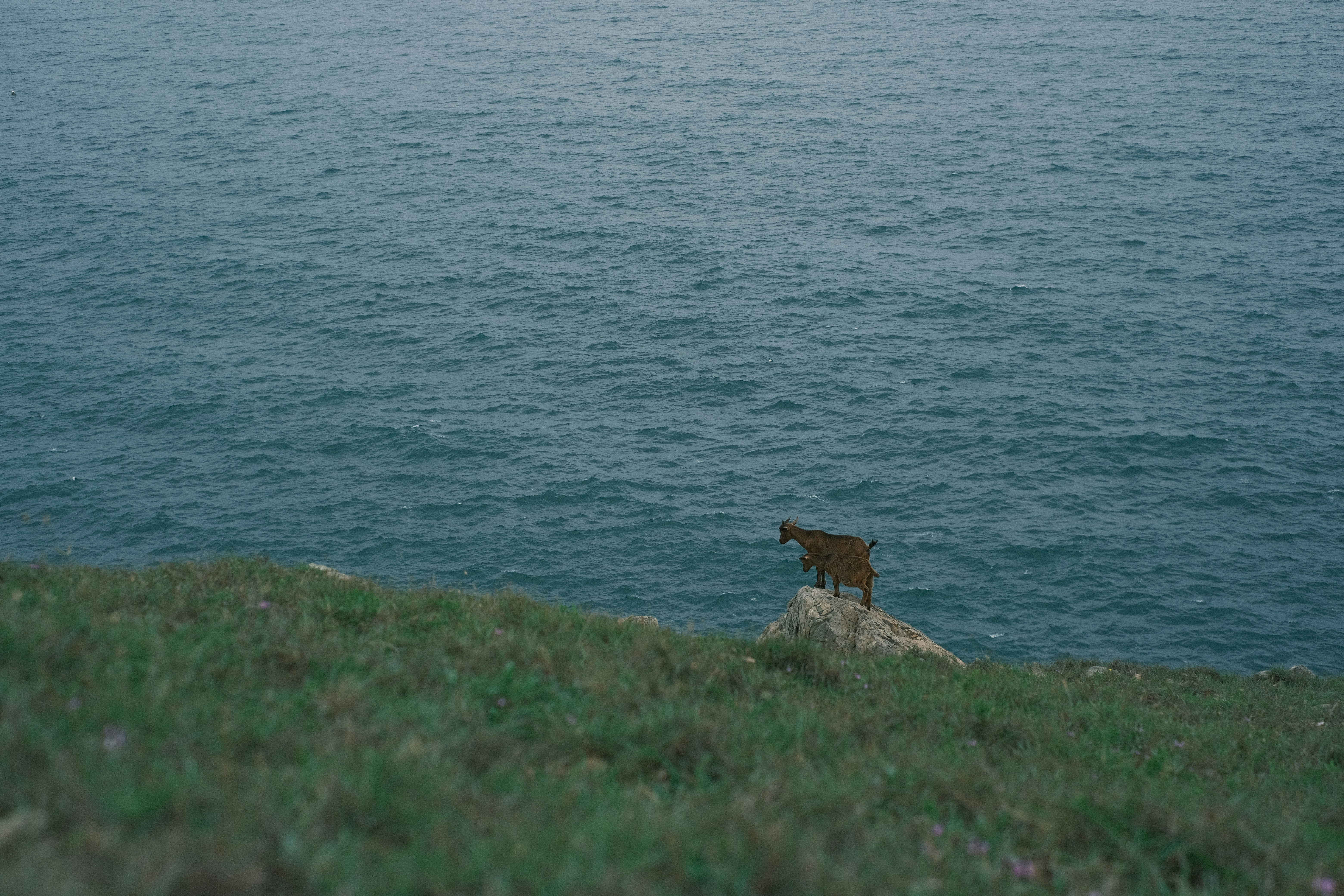 Photo by 雙 film with Fujifilm X-T30 II