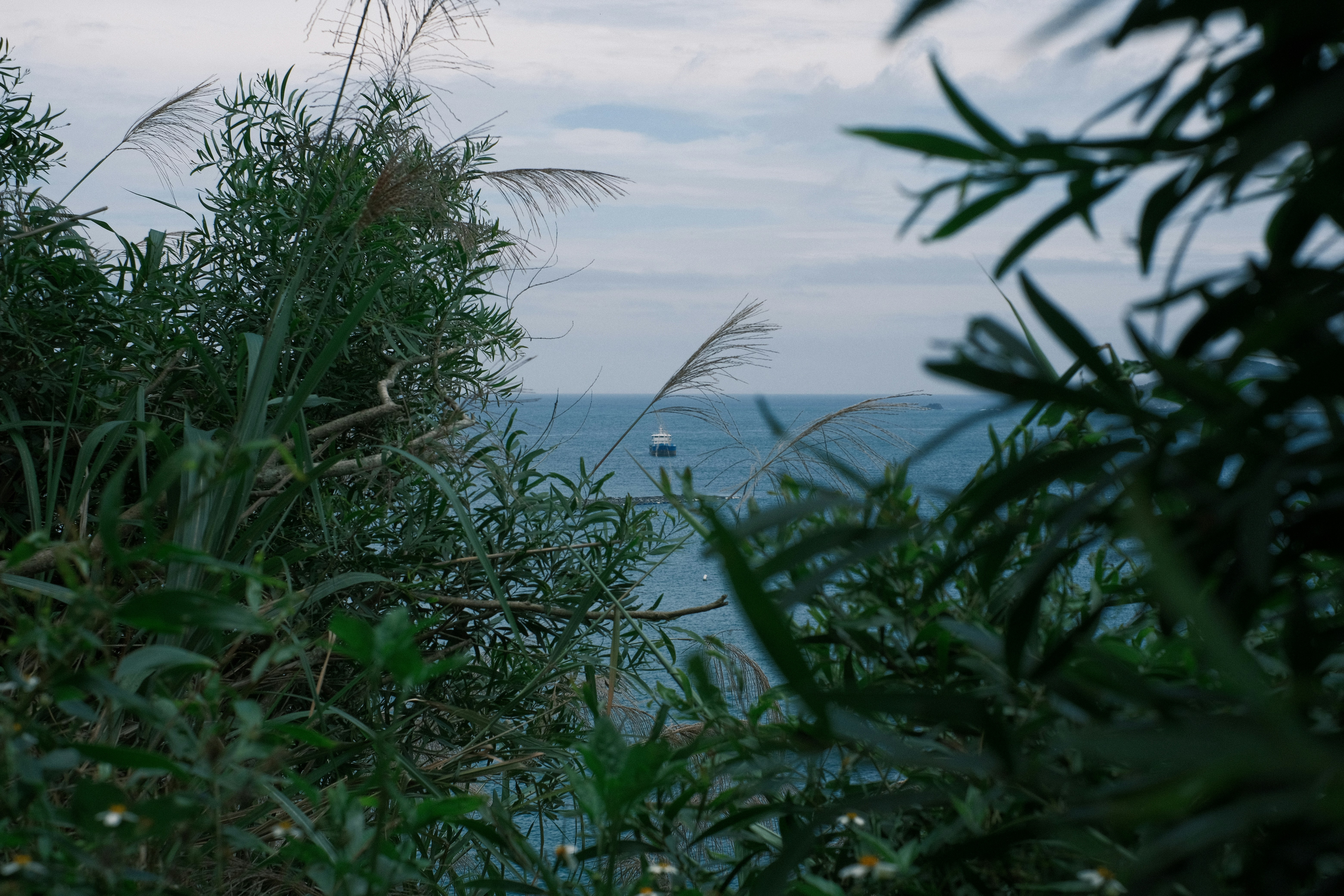 Photo by 雙 film with Fujifilm X-T30 II