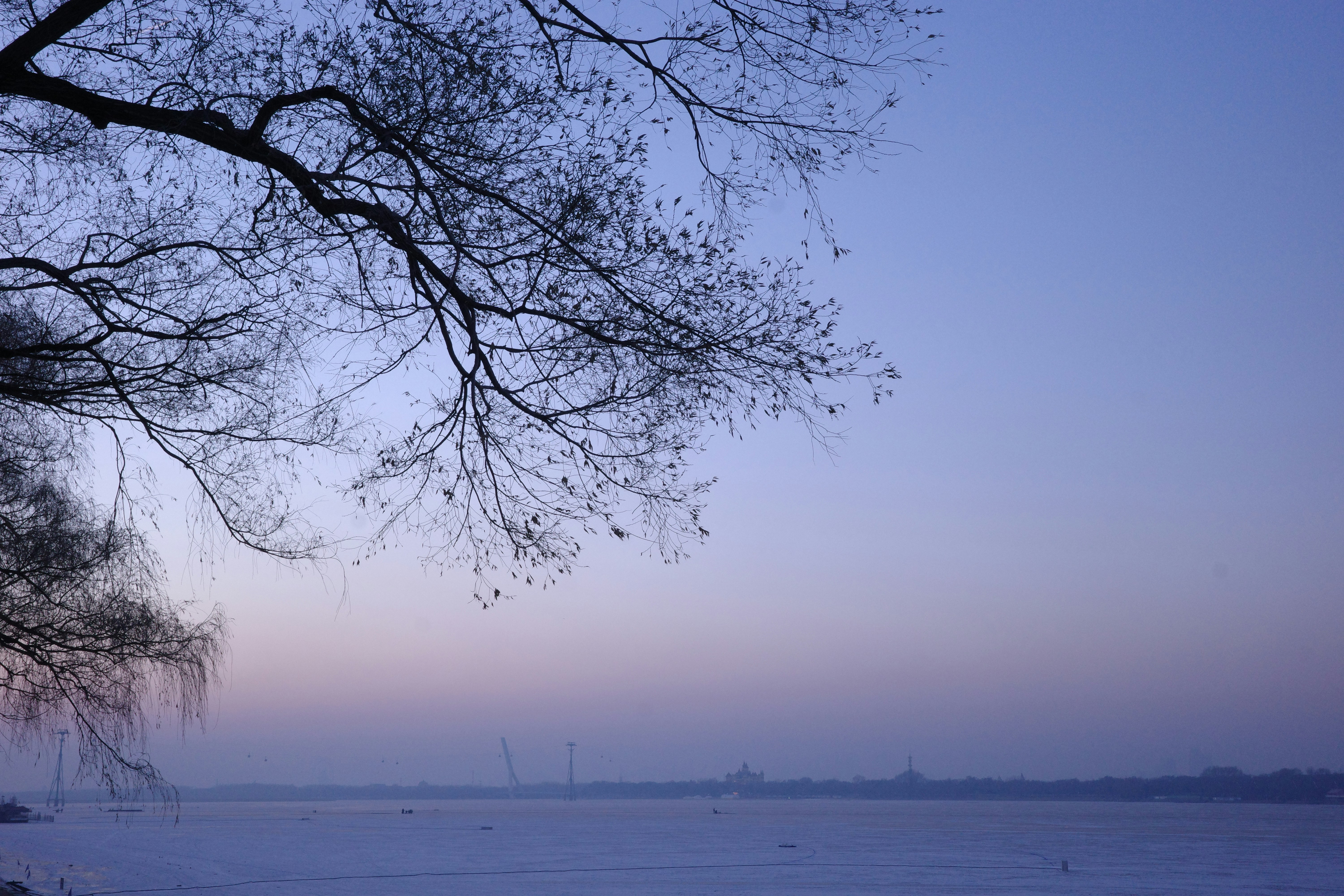 Photo by Bruce with Ricoh GR IIIx