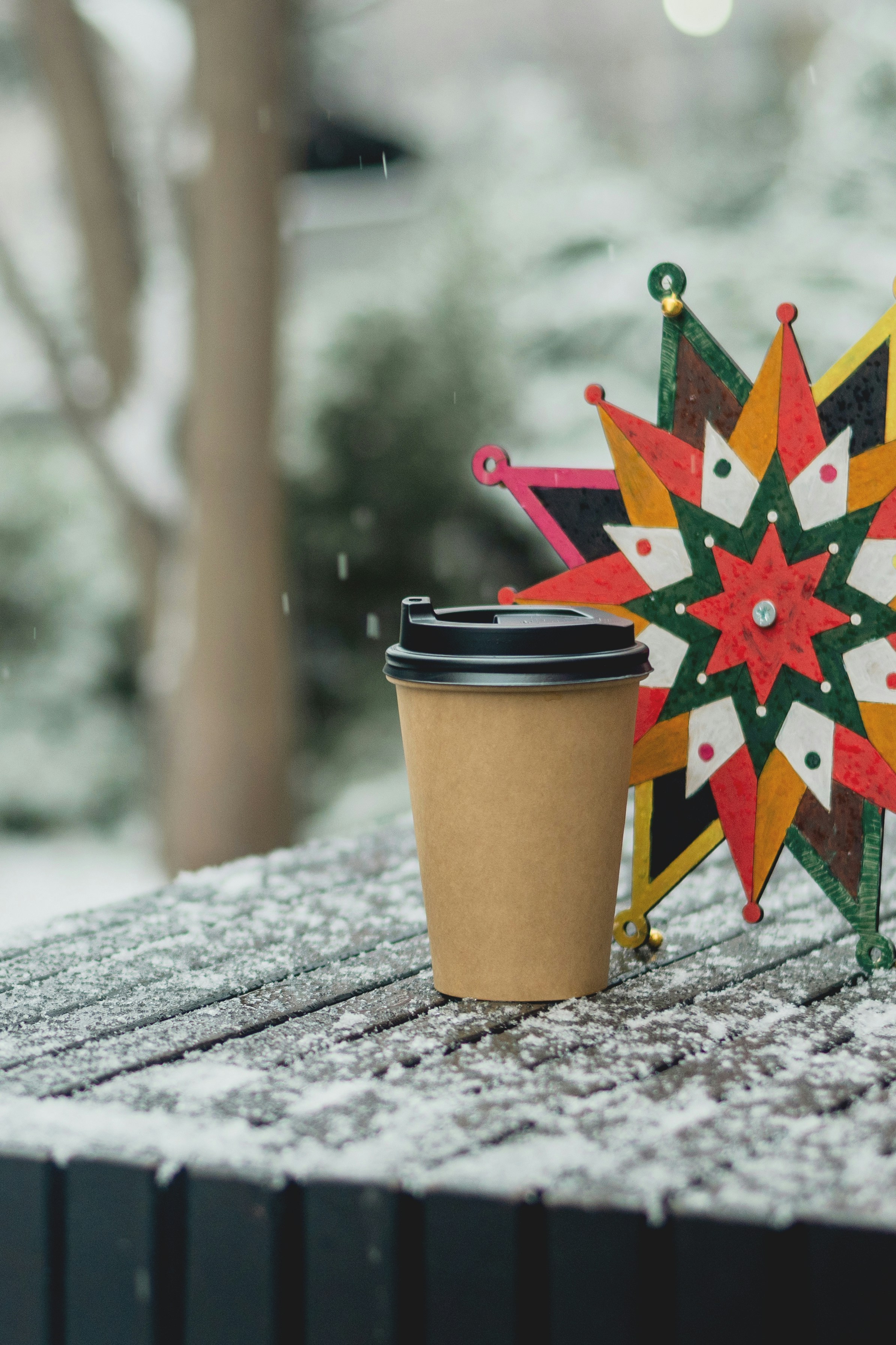Steam Cup and Starburst Lantern in Snowy Garden