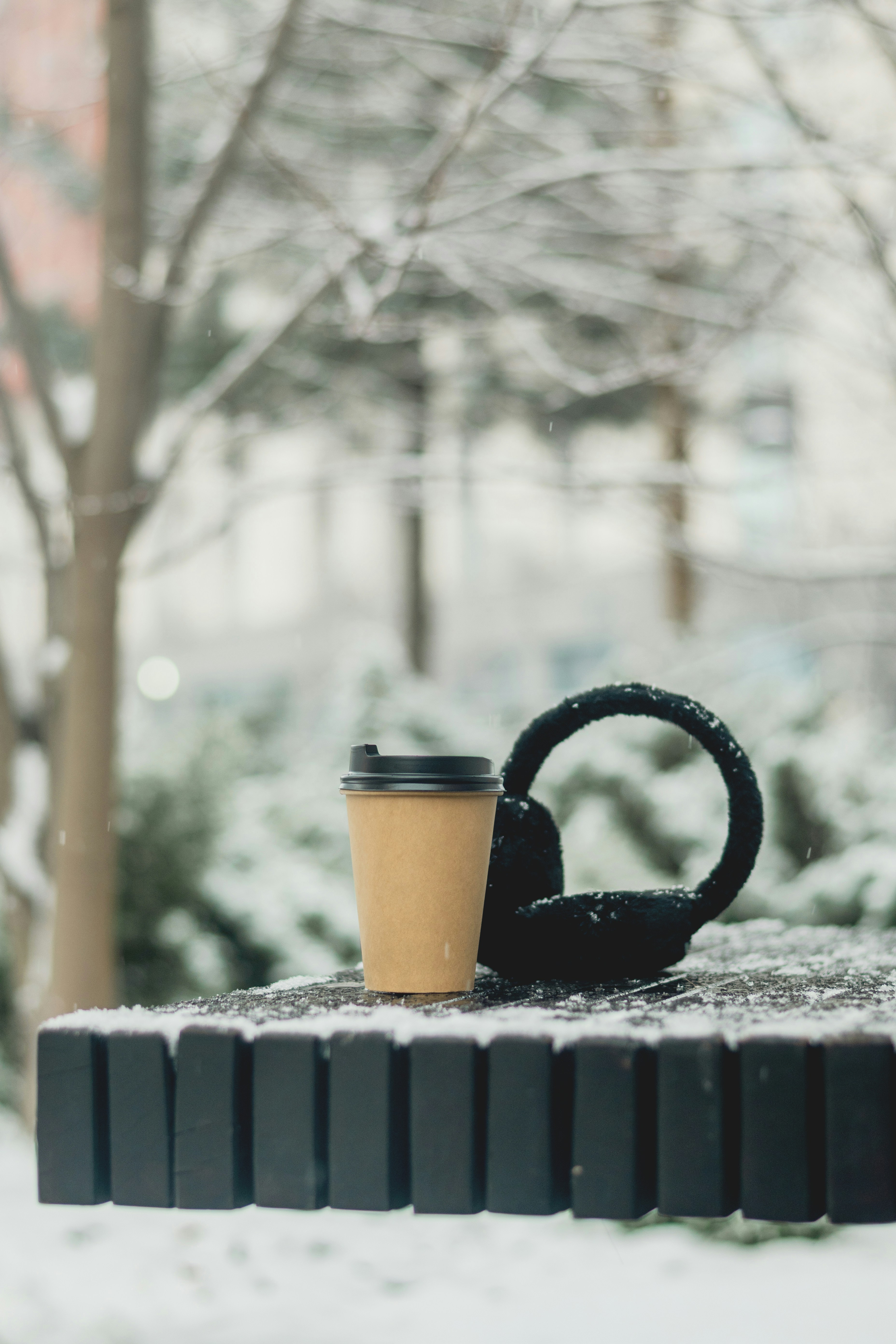 Steam of Winter Quiet: Coffee Cup and U-Shaped Ring on Snowy Park Bench