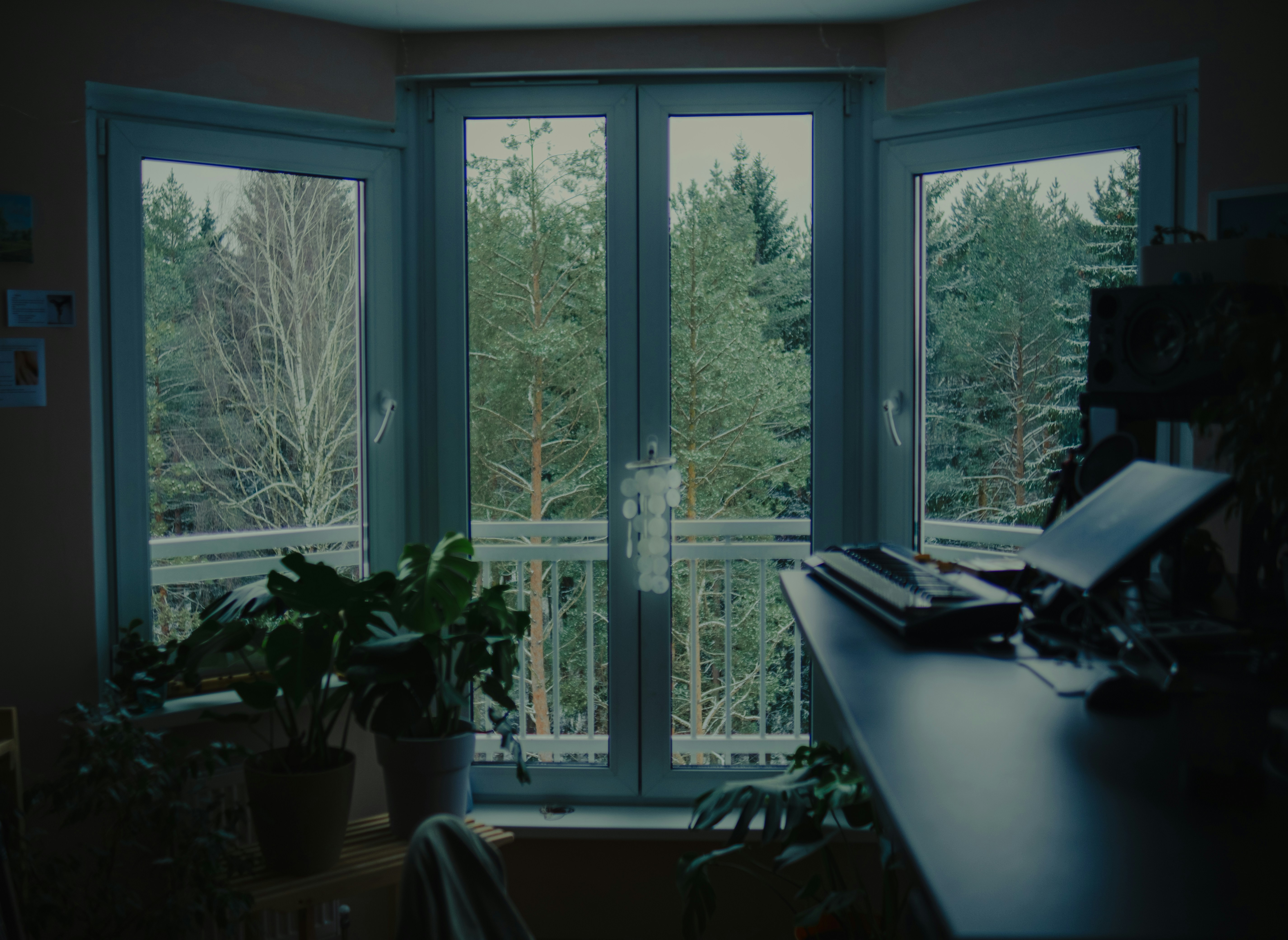Sunlit Balcony Through Glass: Quiet Home Office by the Pines