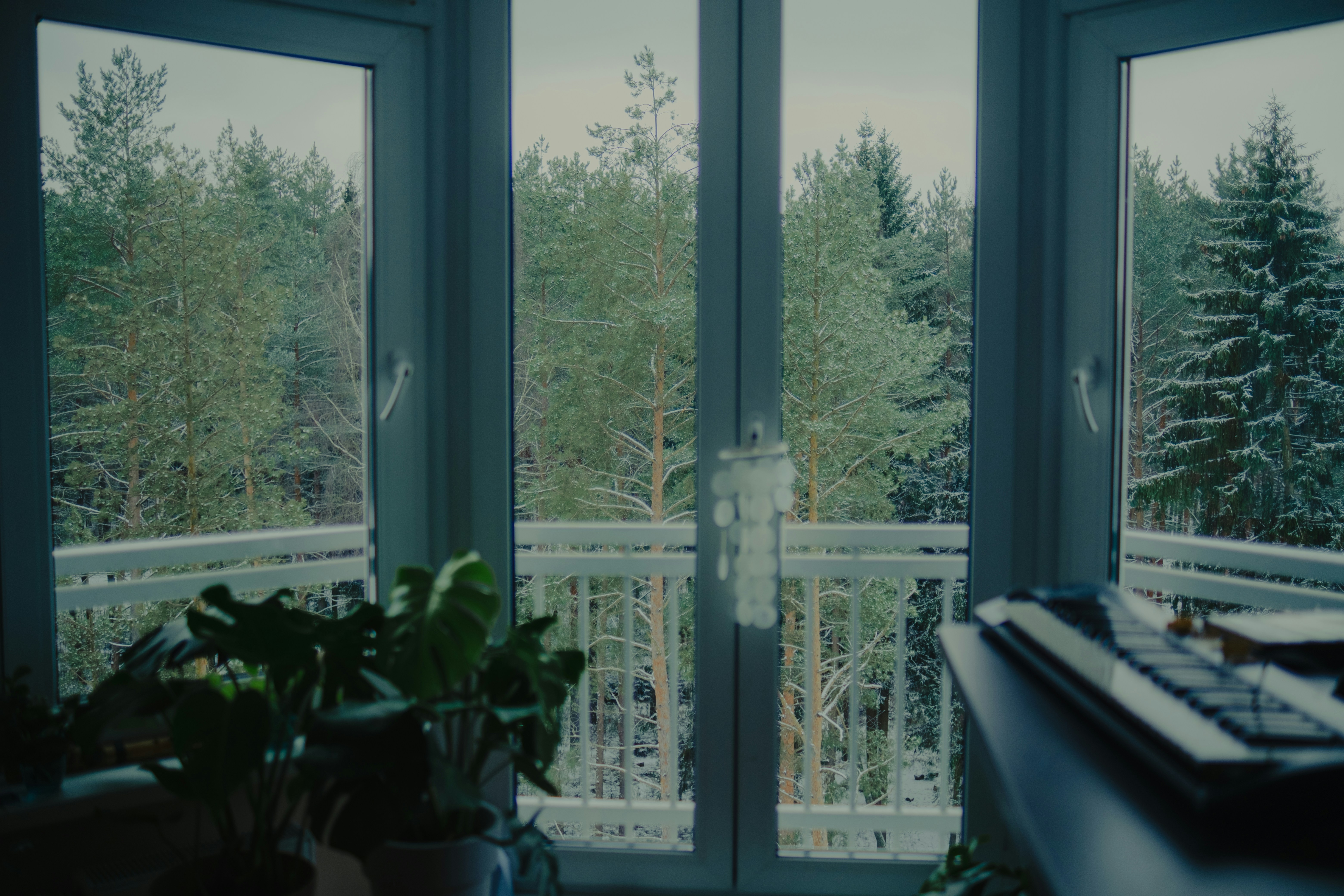 Windowsill Portrait: Quiet Balcony View with Indoor Foliage