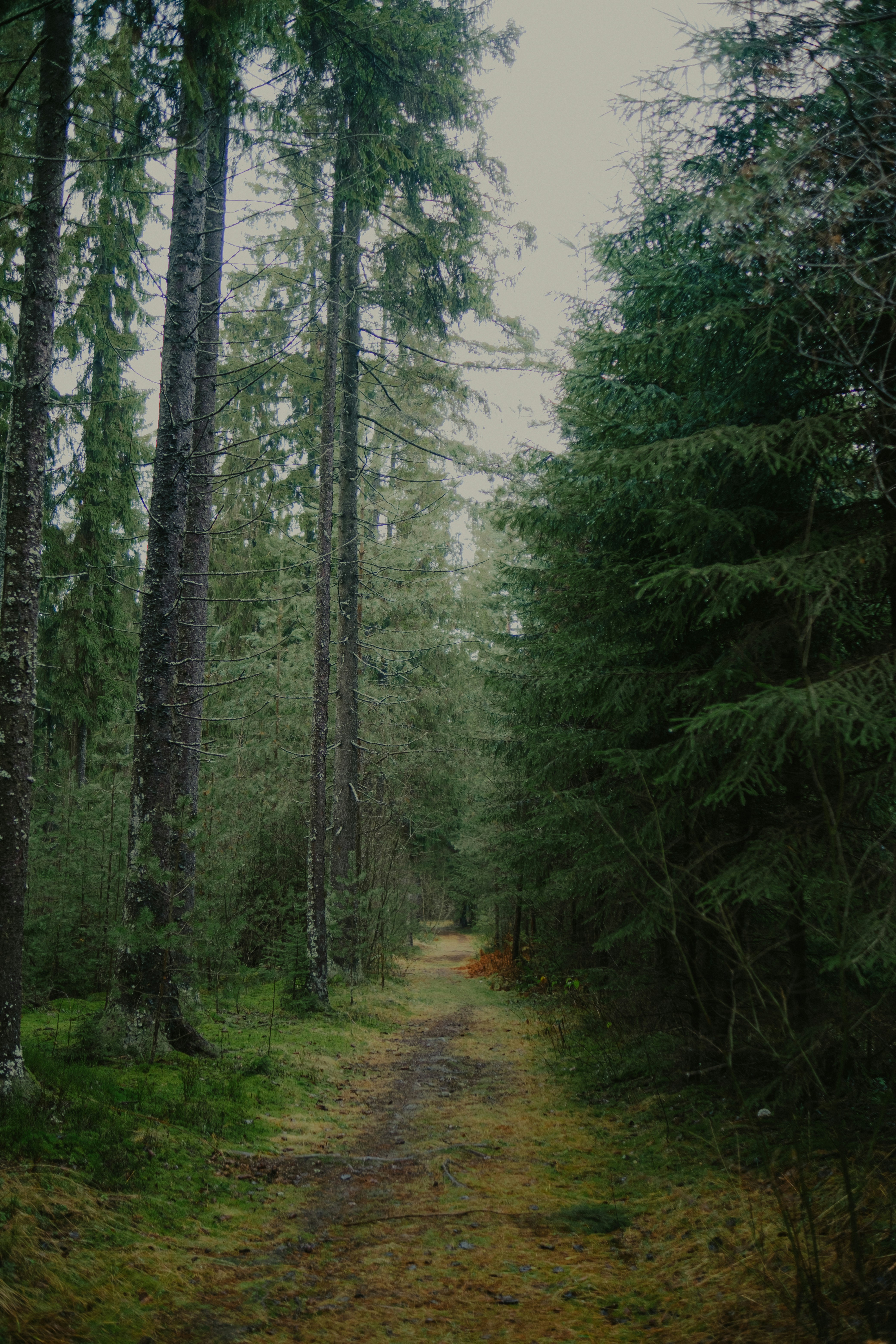 Photo by Hanna Lazar with Fujifilm X-S10