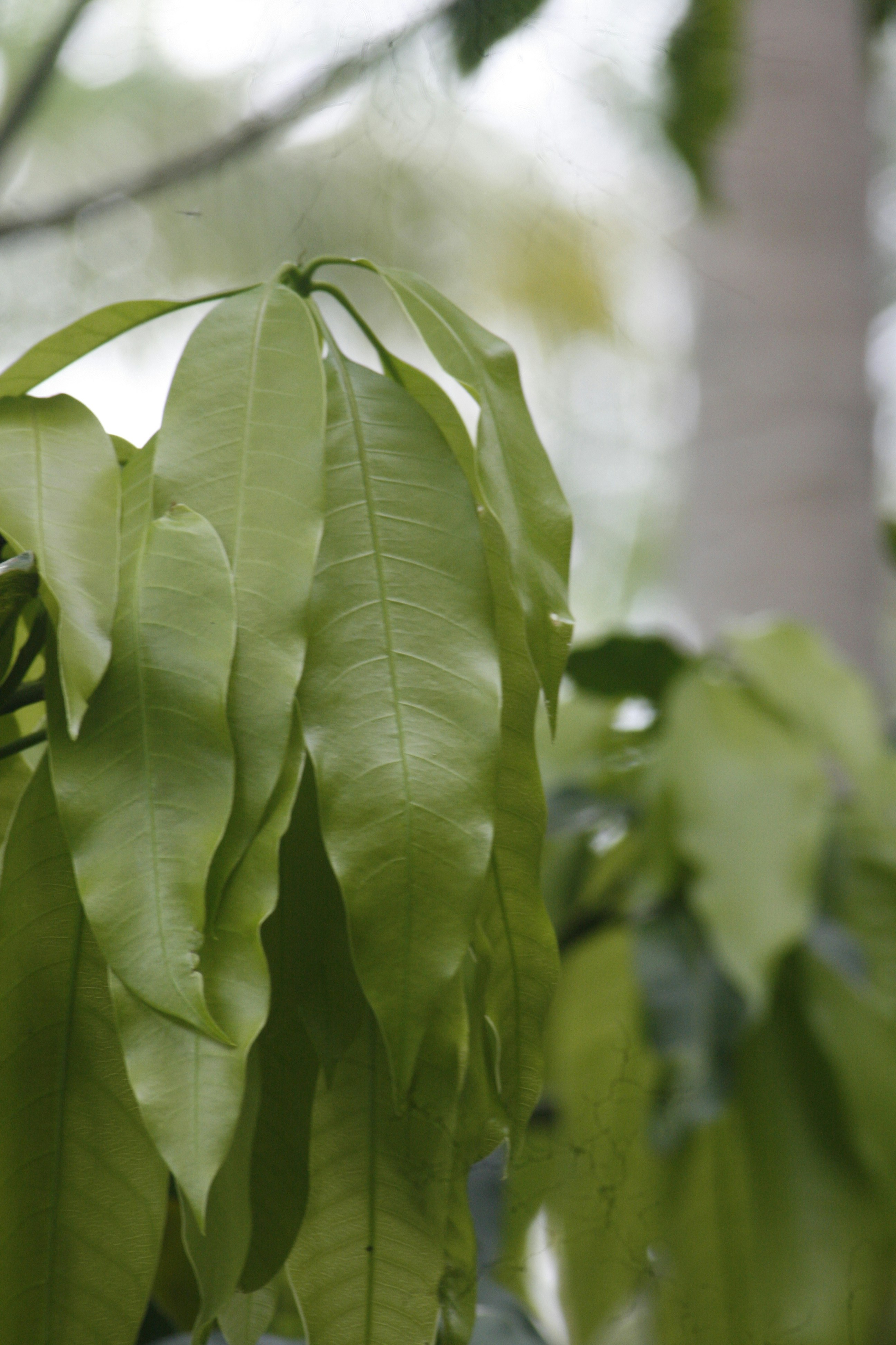 Photo by Dinna .K with Canon EOS 400D