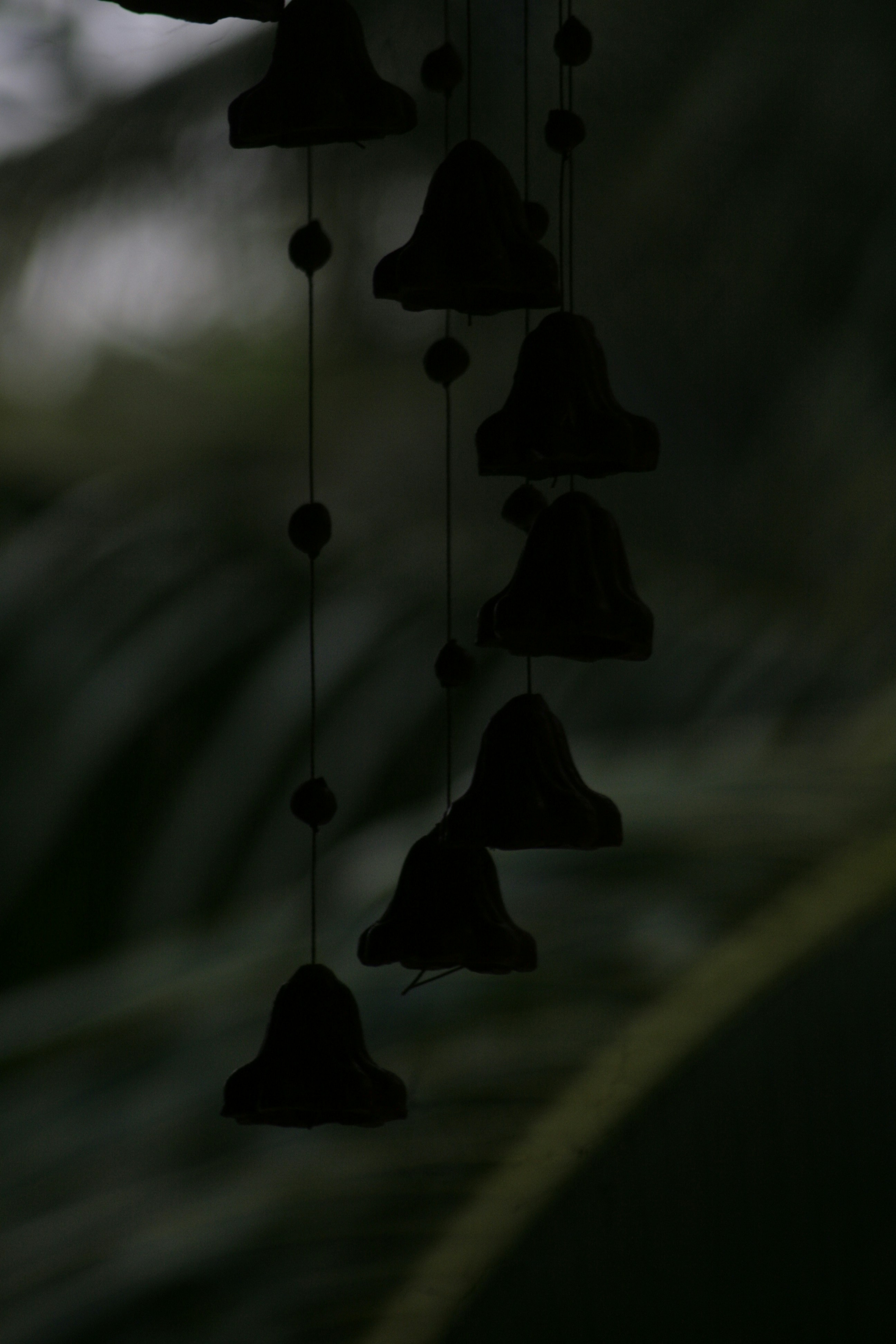 a chinchilla with a coconut tree leaves in the background blured