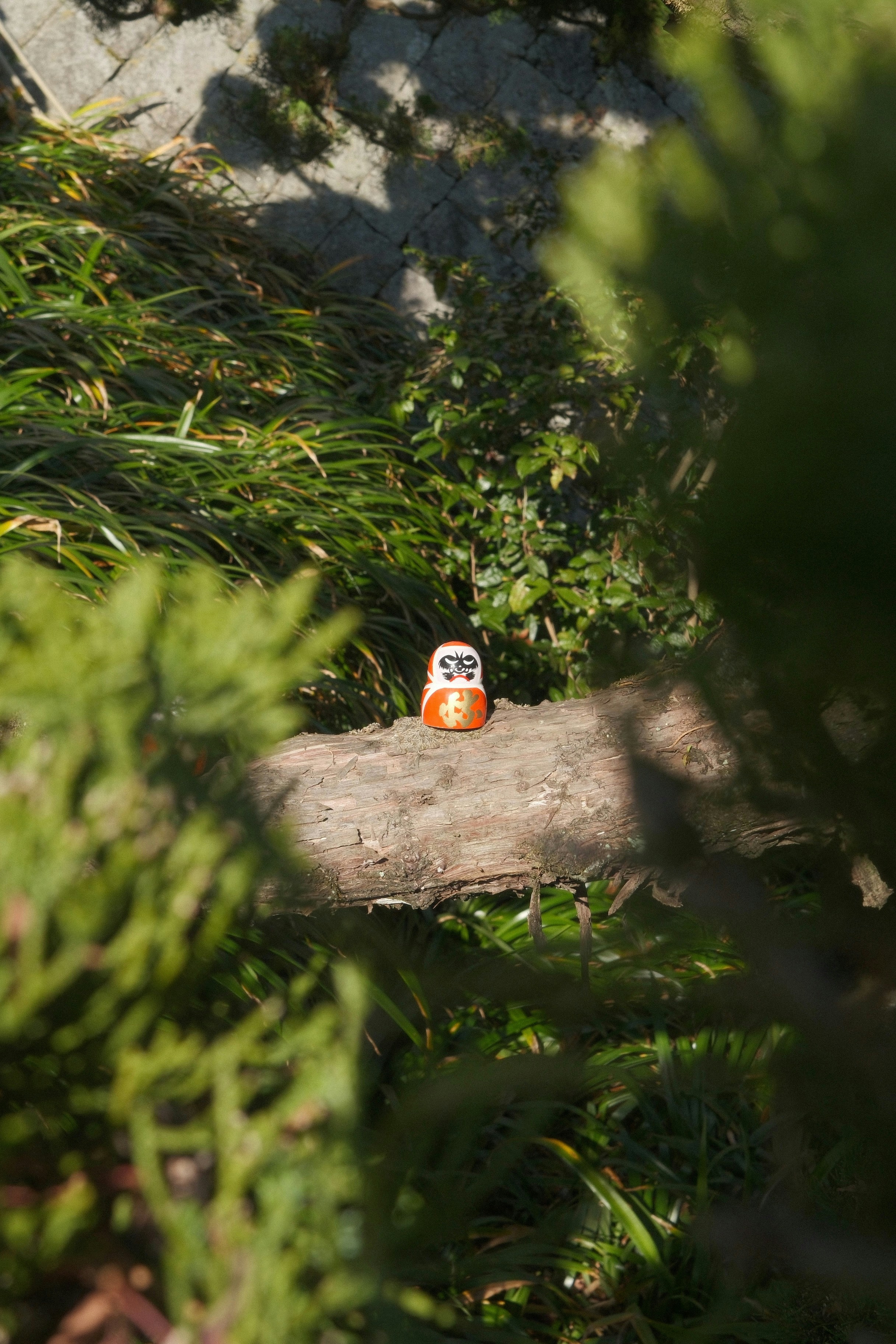 Orange Daruma on a Weathered Log in a Lush Garden