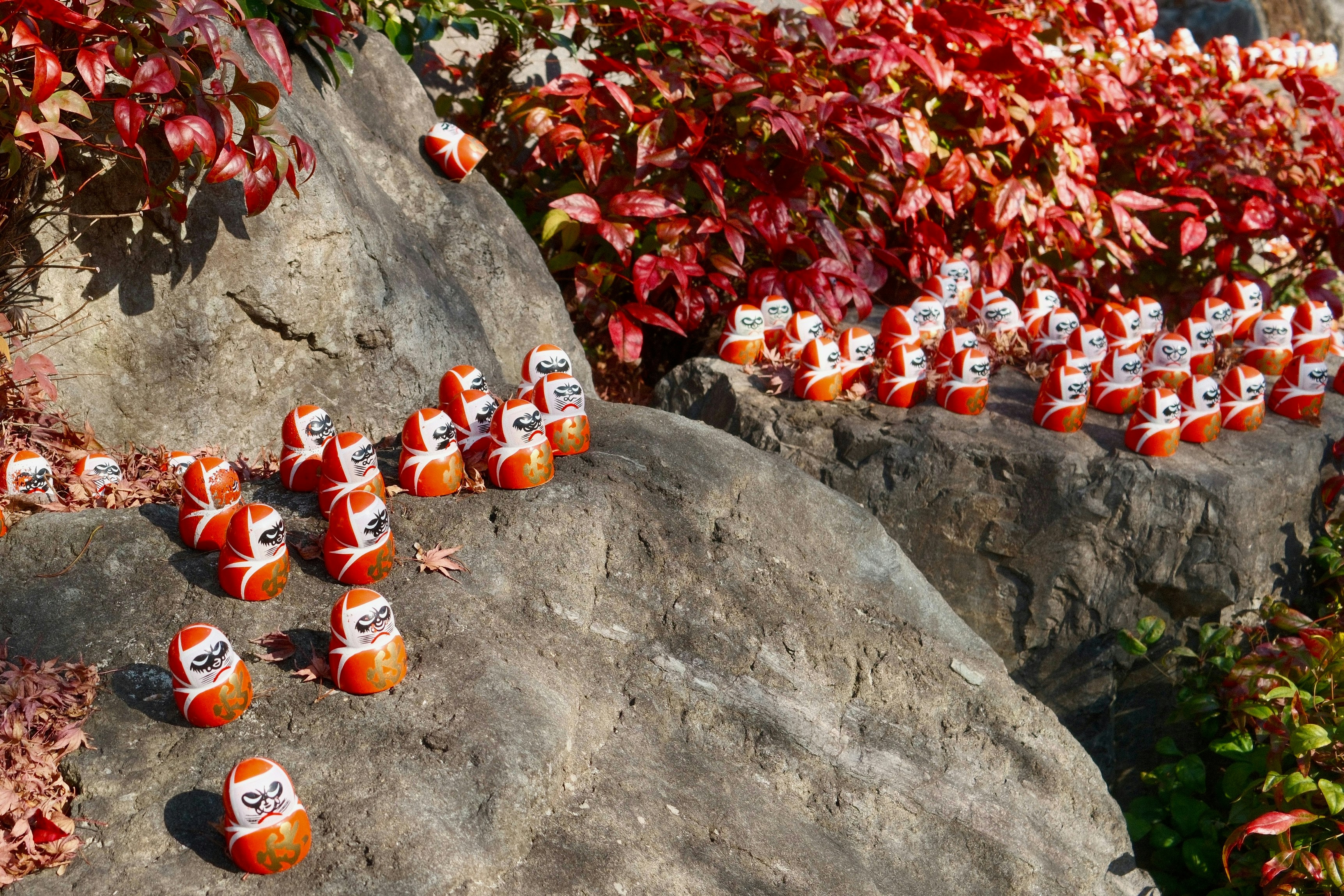 Carlatory of Daruma on the Granite Steps