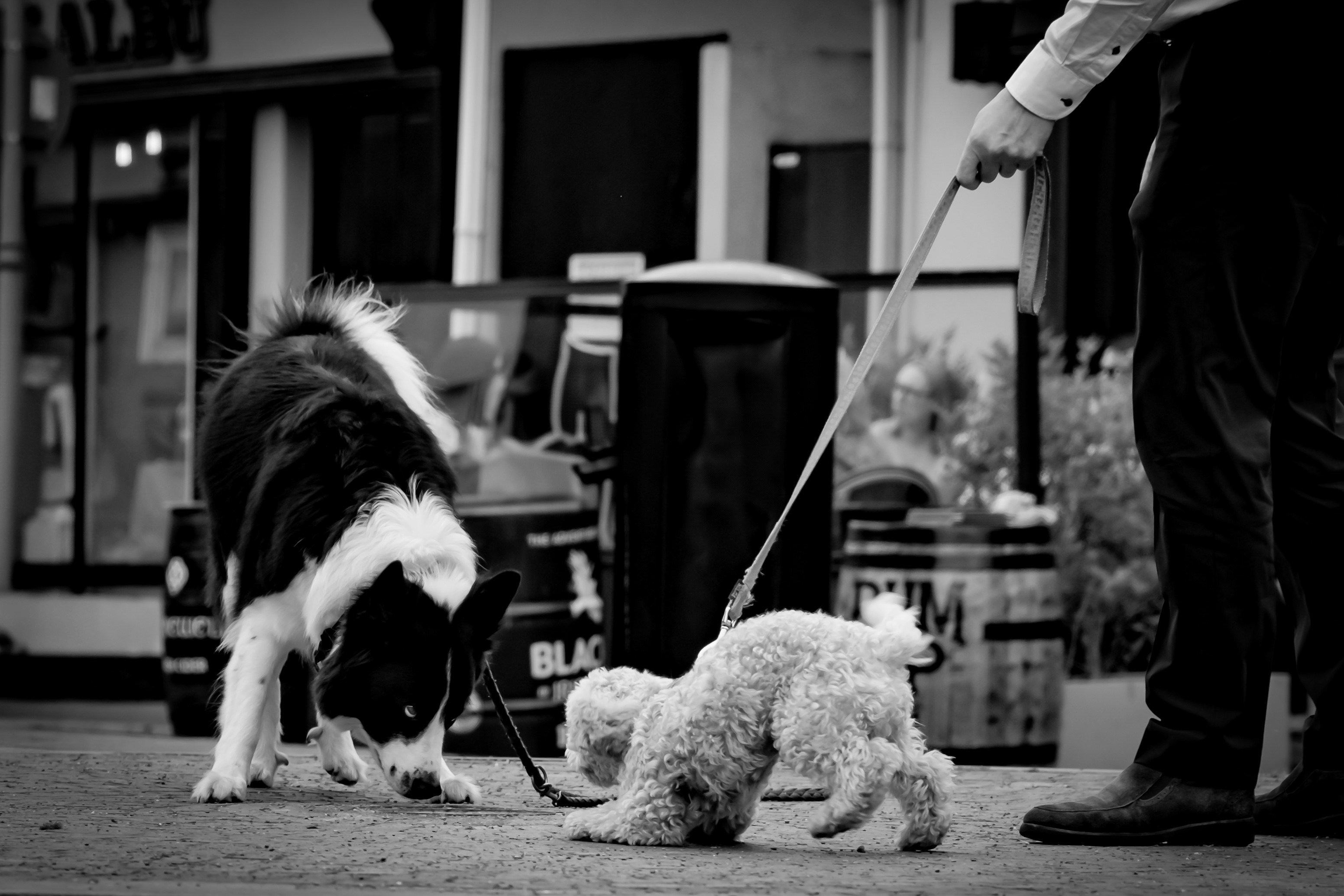 Photo by atelierbyvineeth ... with Fujifilm X-T4