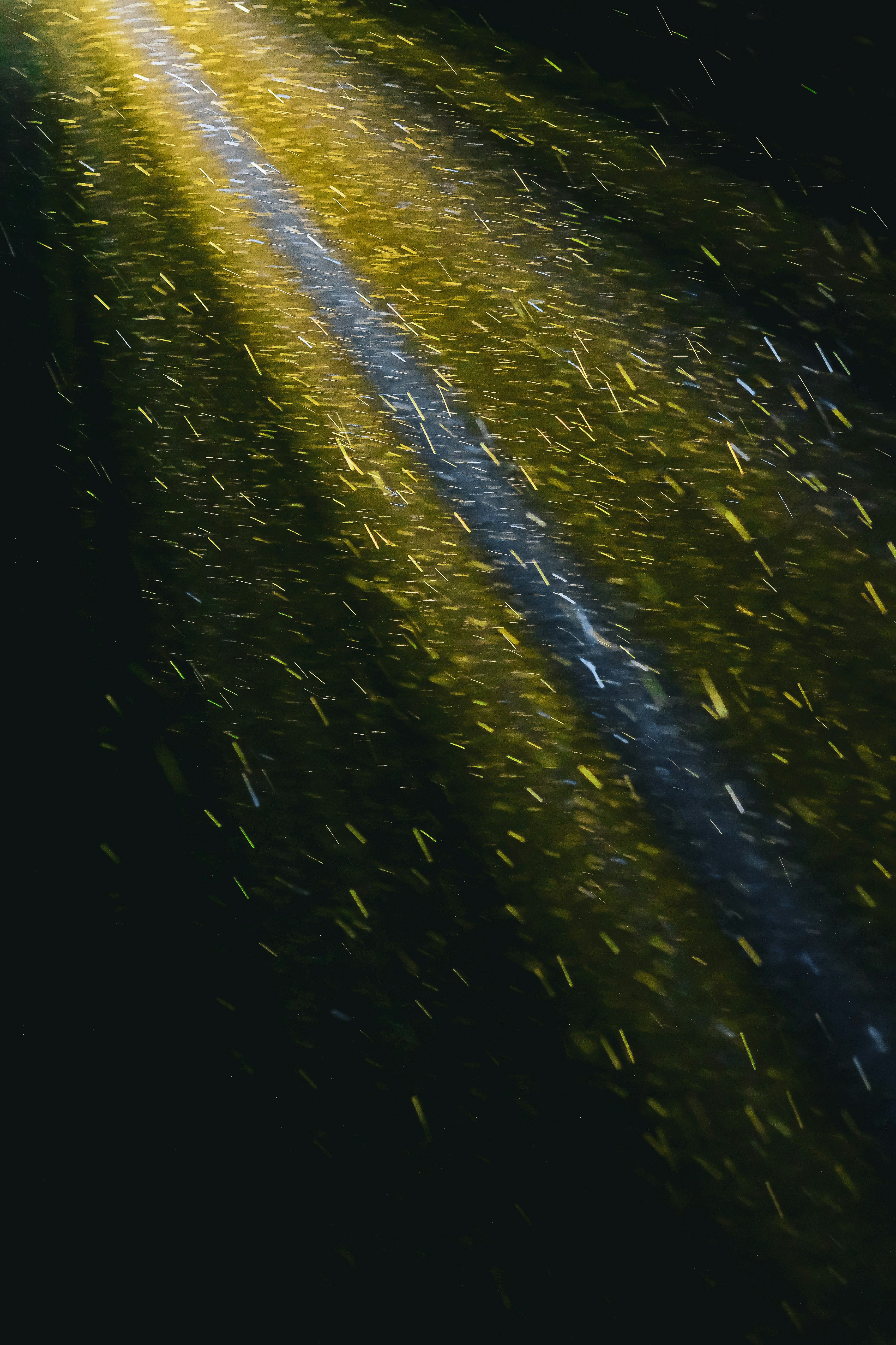 Streaks of Light: A Lunar Rail Across Night Water