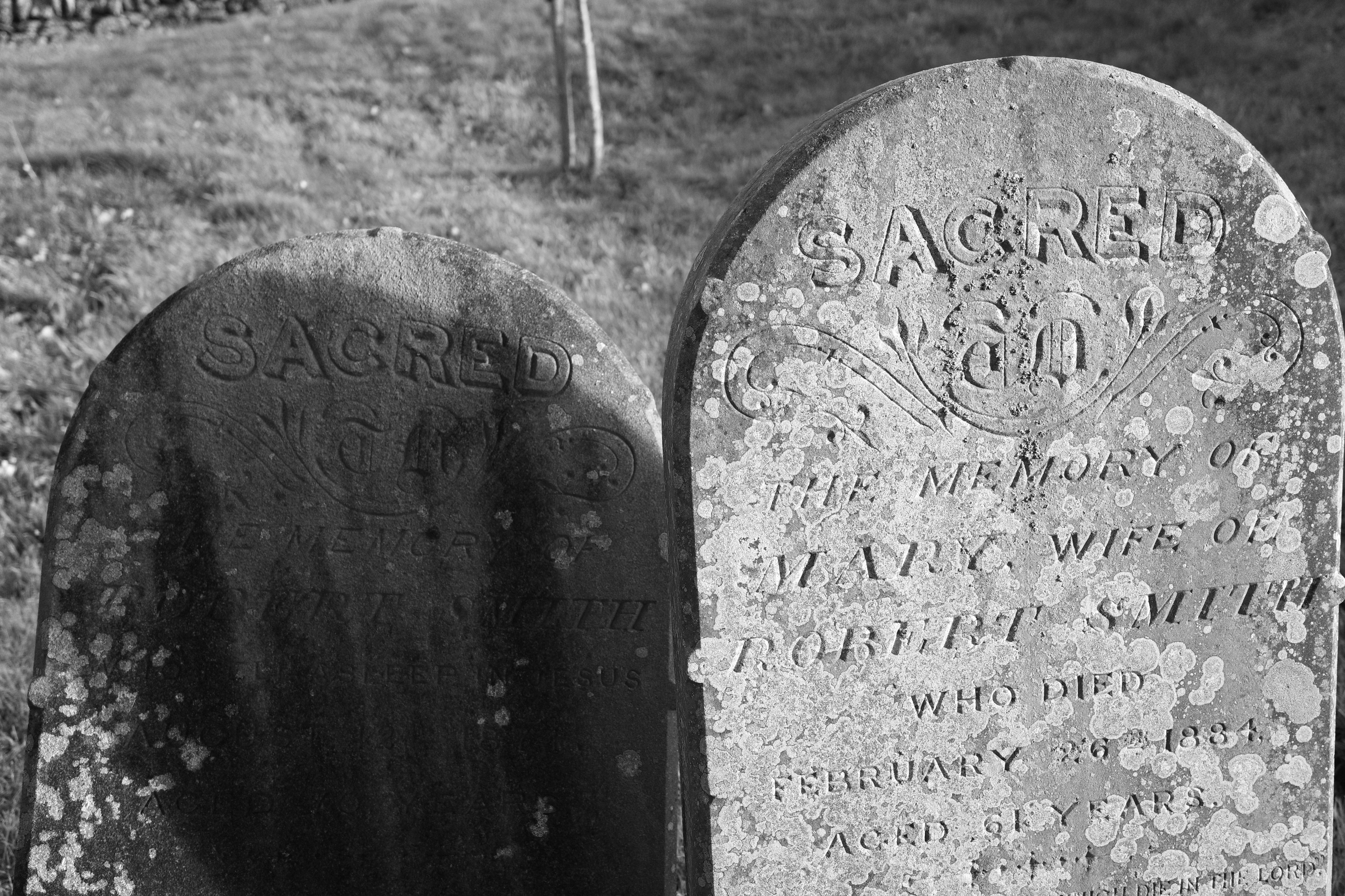 Two old gravestones in a cemetery photo – Free Vintage Image on Unsplash