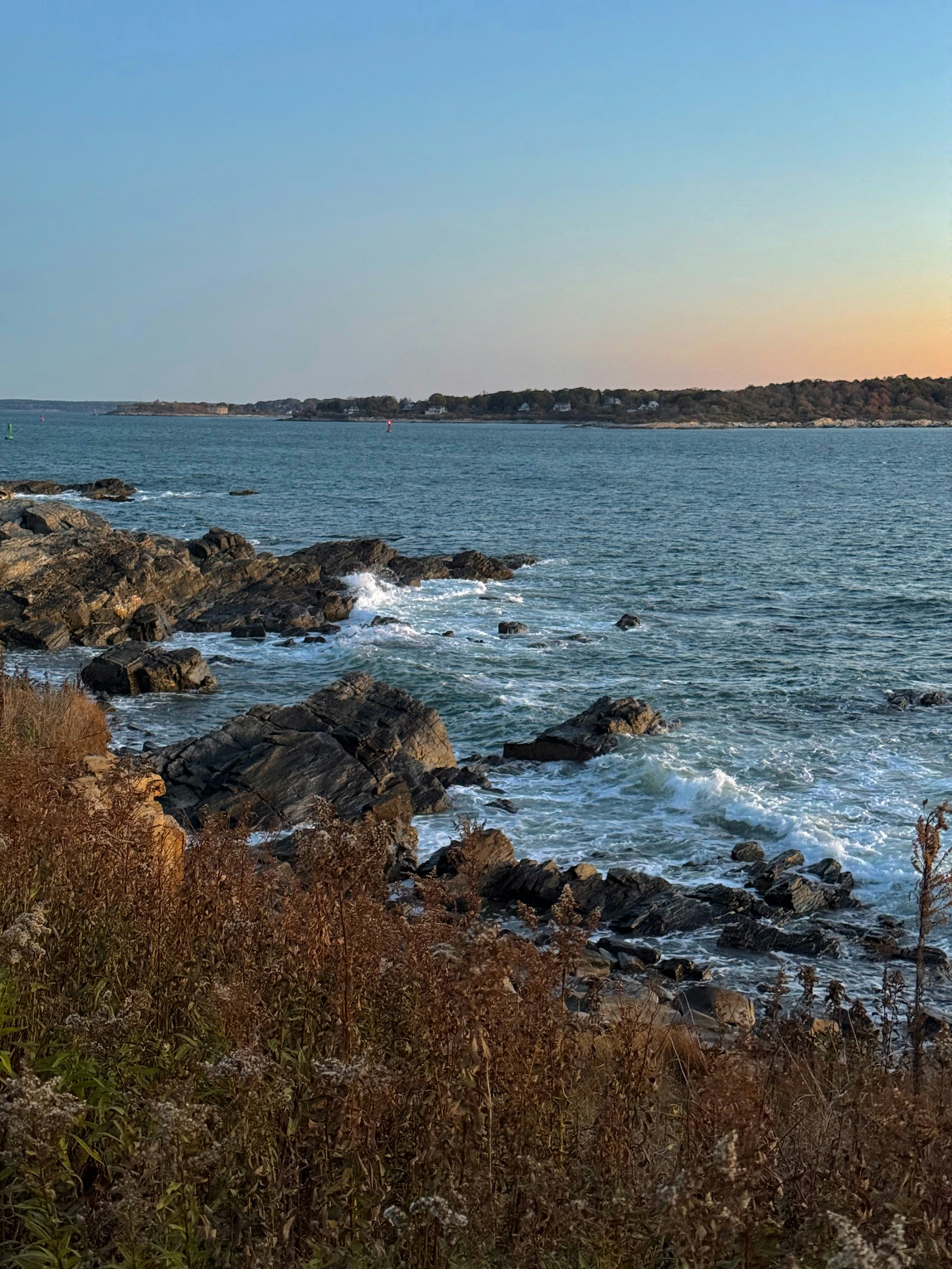Rugged coastline at dusk: rocks, waves, and grasses meeting the calm sea