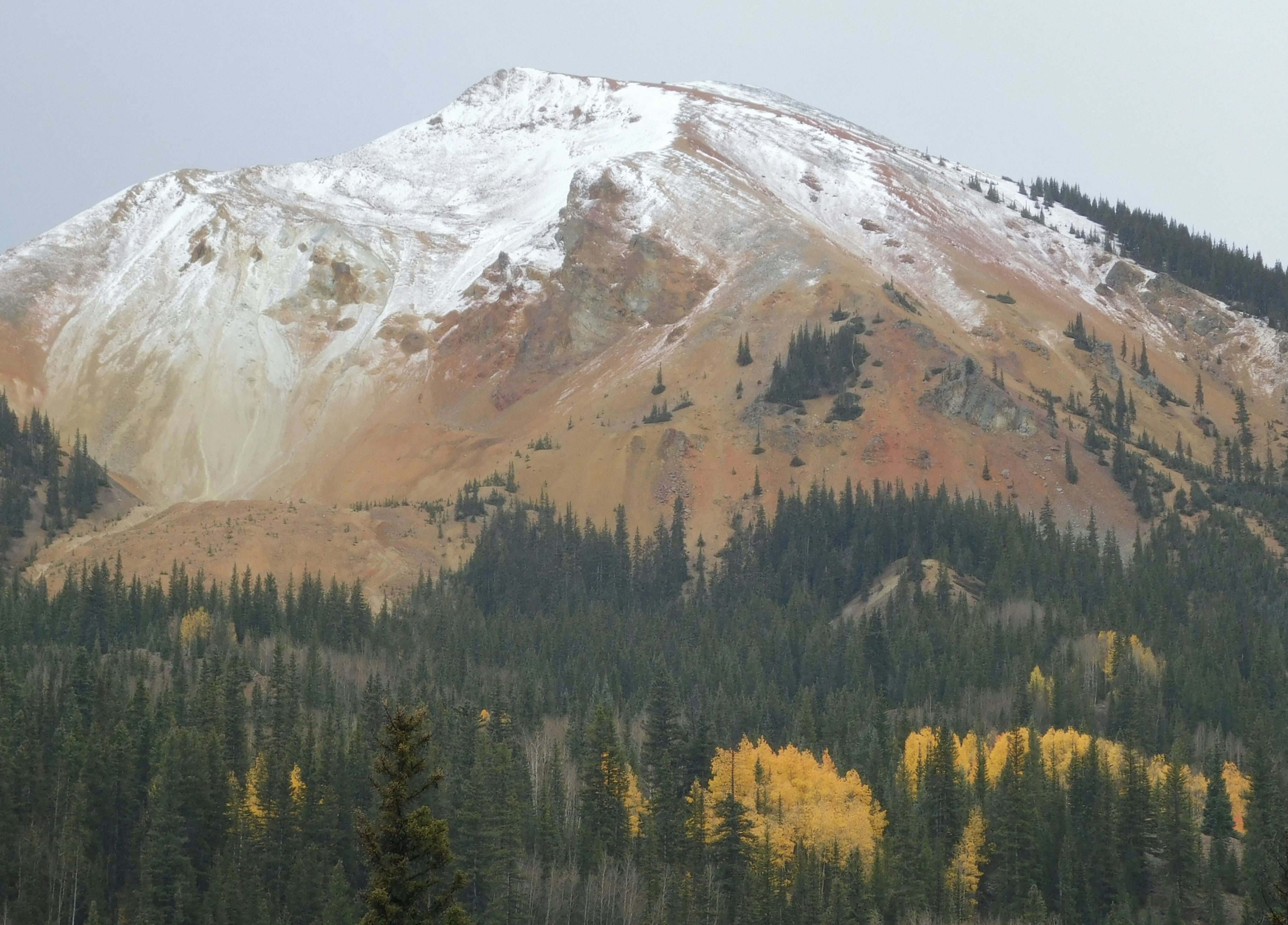 Snow-topped Peak Rising Above a Forested Canyon